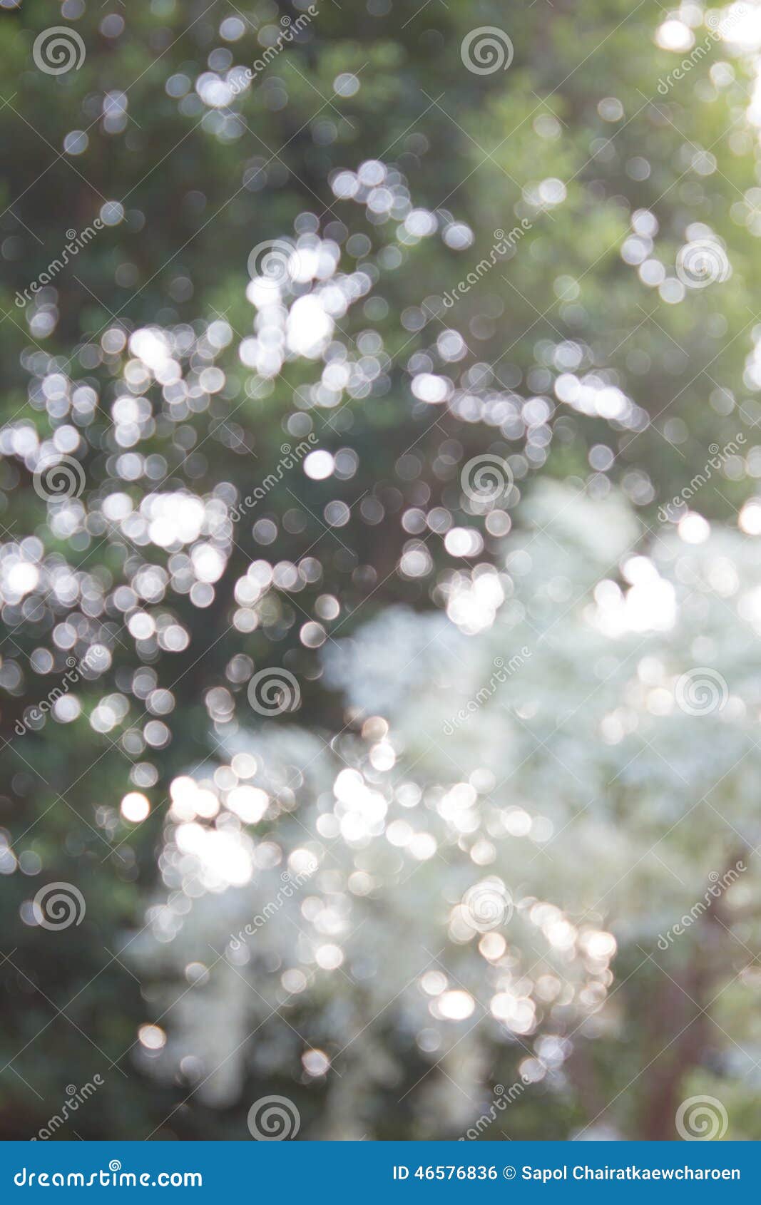 Nature light soft focus stock photo. Image of effect - 46576836