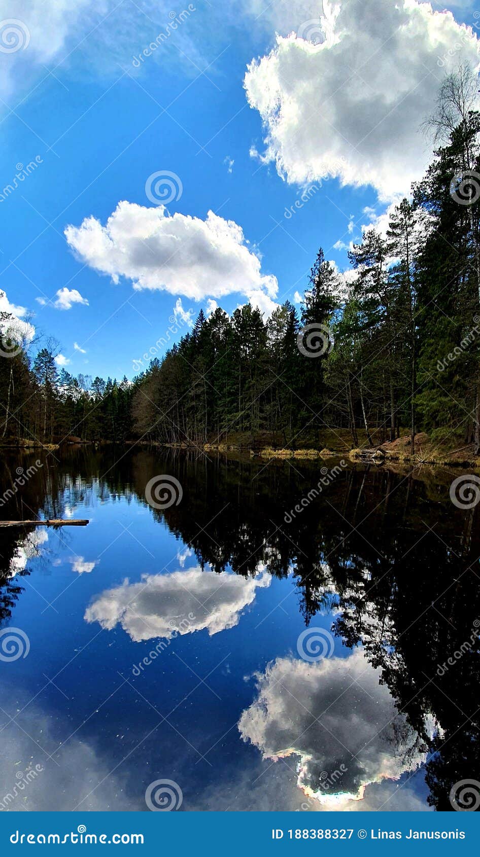 Nature Lithuania Sky Pond Taurage Stock Image - Image of autumn, water ...