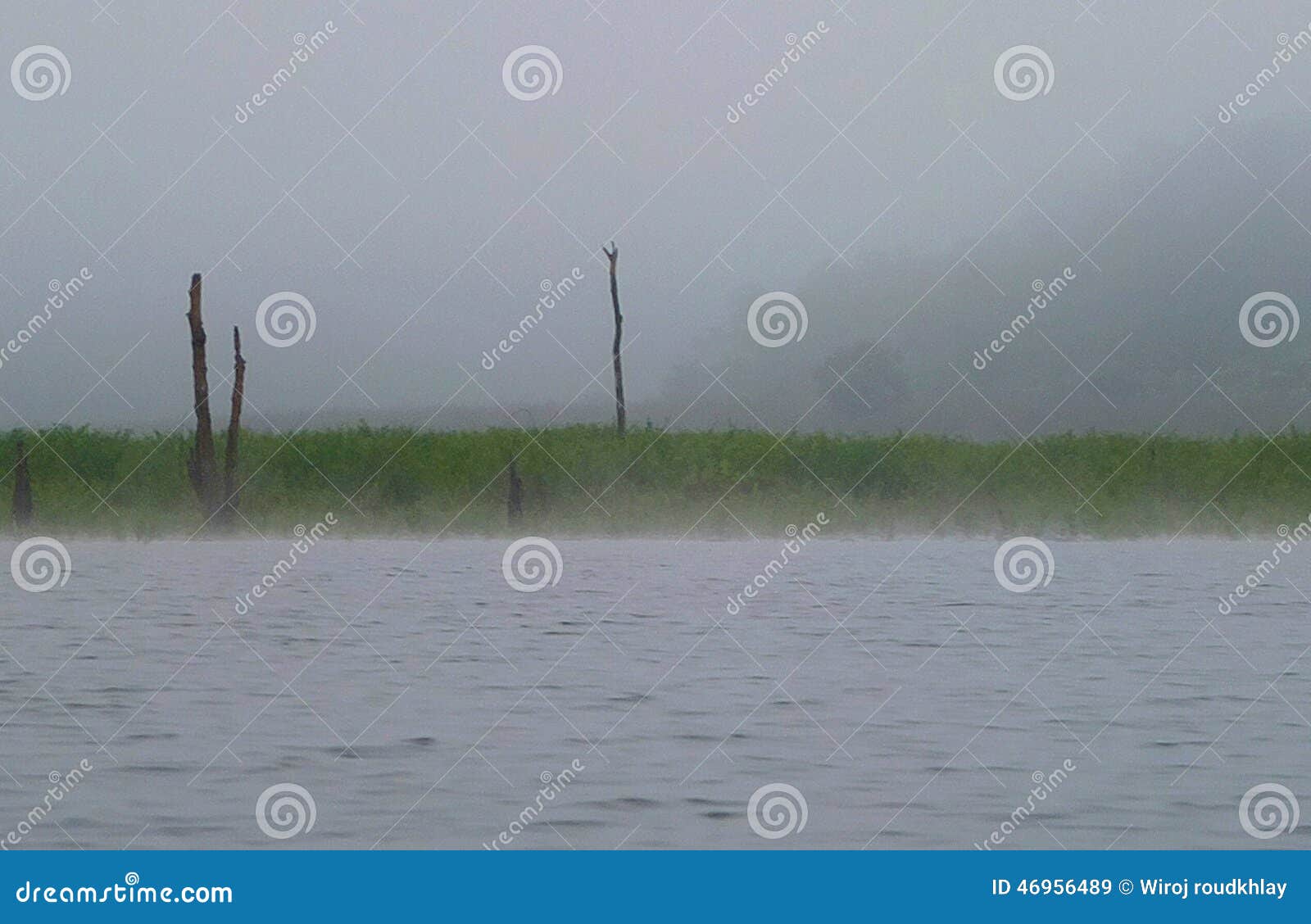 Nature stock image. Image of trees, light, water, nature - 46956489