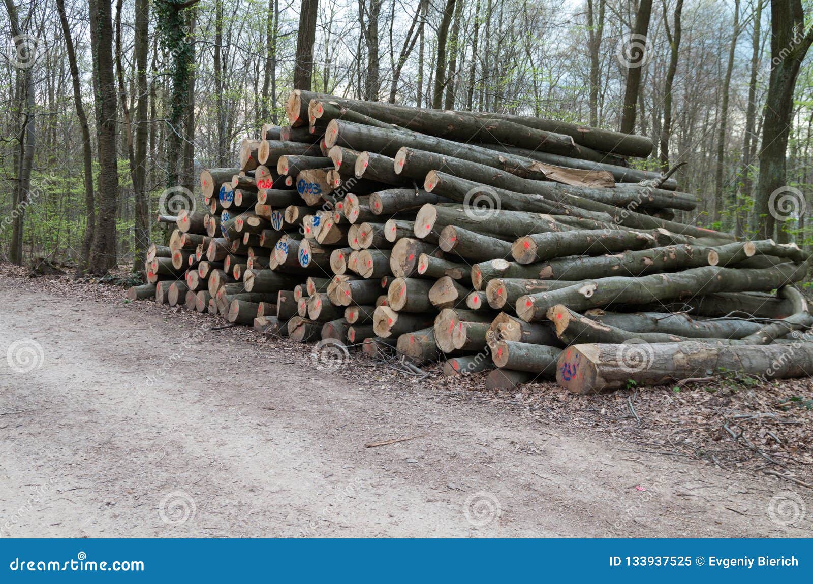 The Nature logs stock image. Image of heap, edge, natural - 133937525