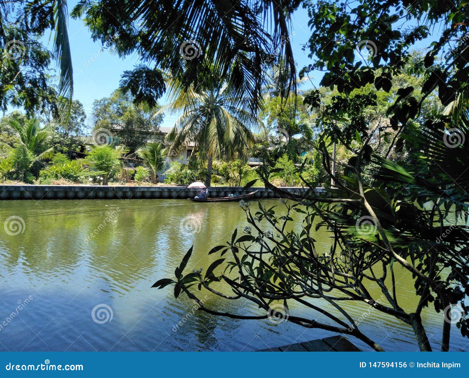 Nature with Love editorial photo. Image of live, soul - 147594156