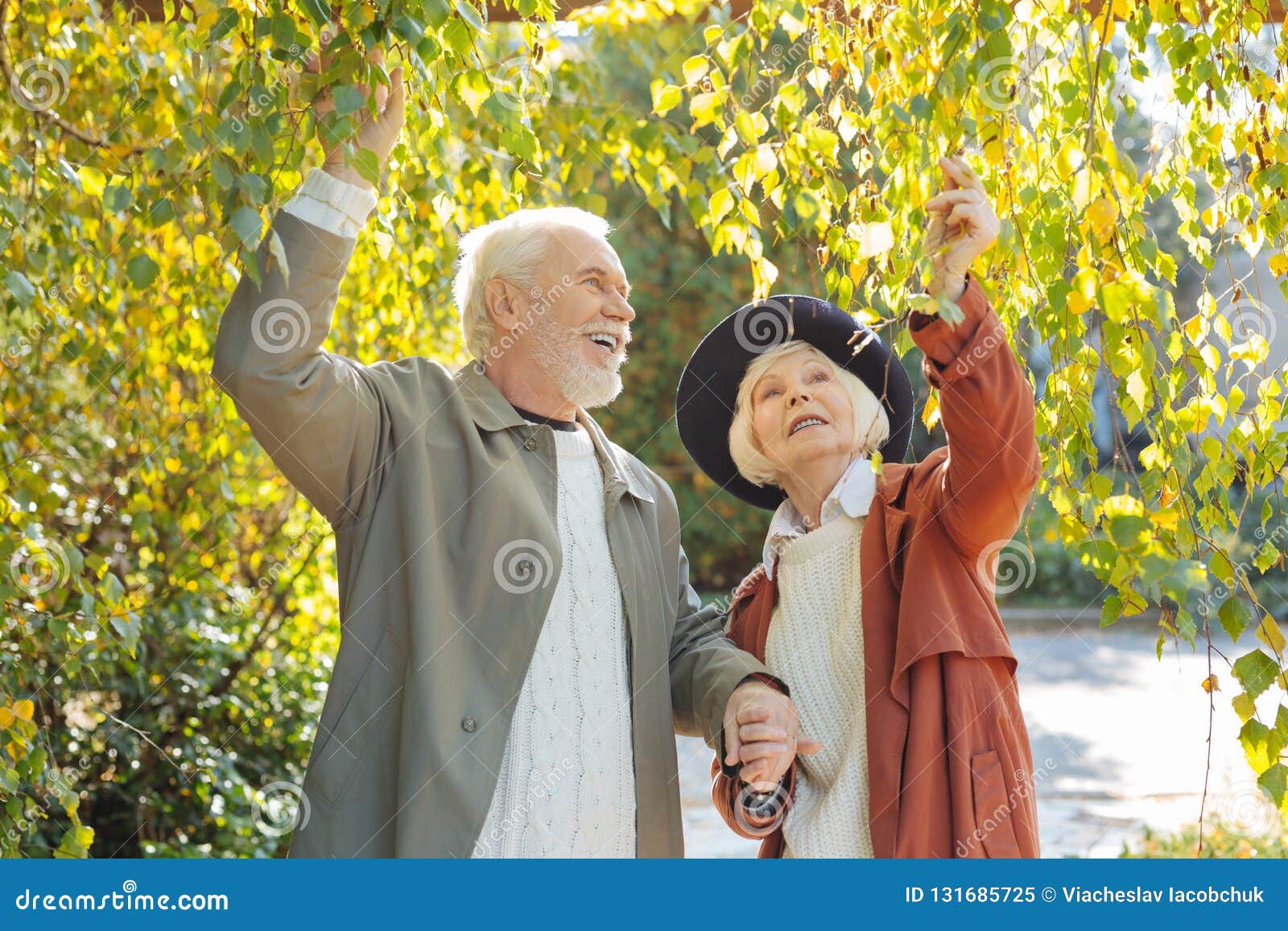 Positive Elderly People Standing Under the Tree Stock Image - Image of ...