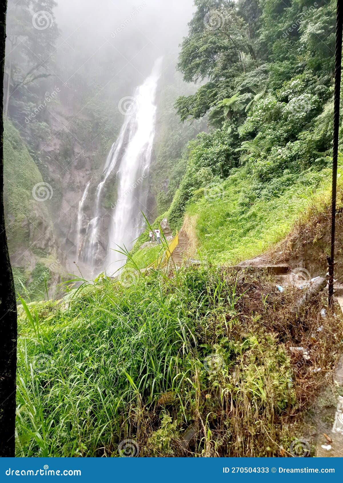 Nature makes peace stock image. Image of stream, jungle - 270504333