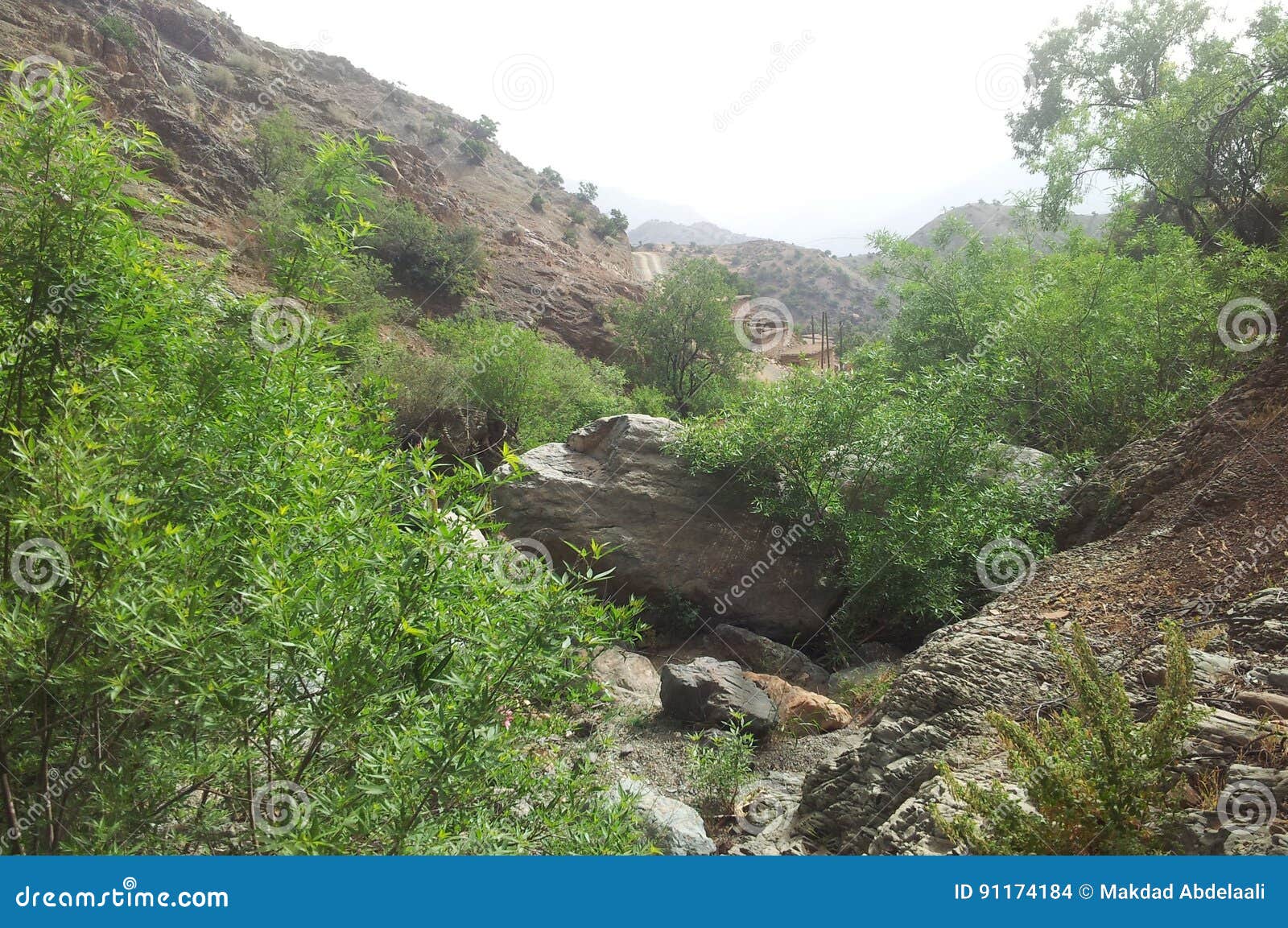 Nature Maroc photo stock. Image du ravin, géologie, arbre - 91174184