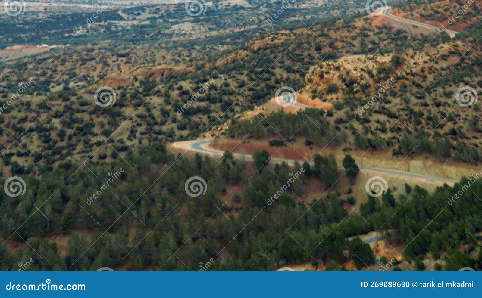 Nature maroc forest debdou stock photo. Image of wilderness - 269089630