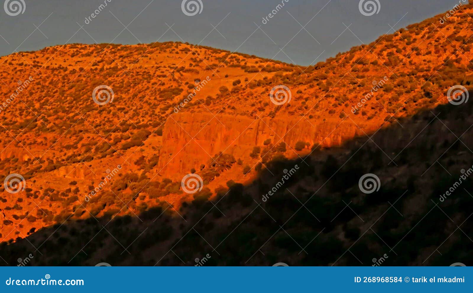 Nature maroc forest debdou stock photo. Image of sunrise - 268968584