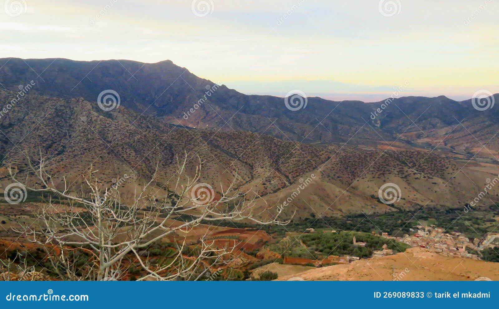 Nature maroc forest debdou stock image. Image of debdou - 269089833