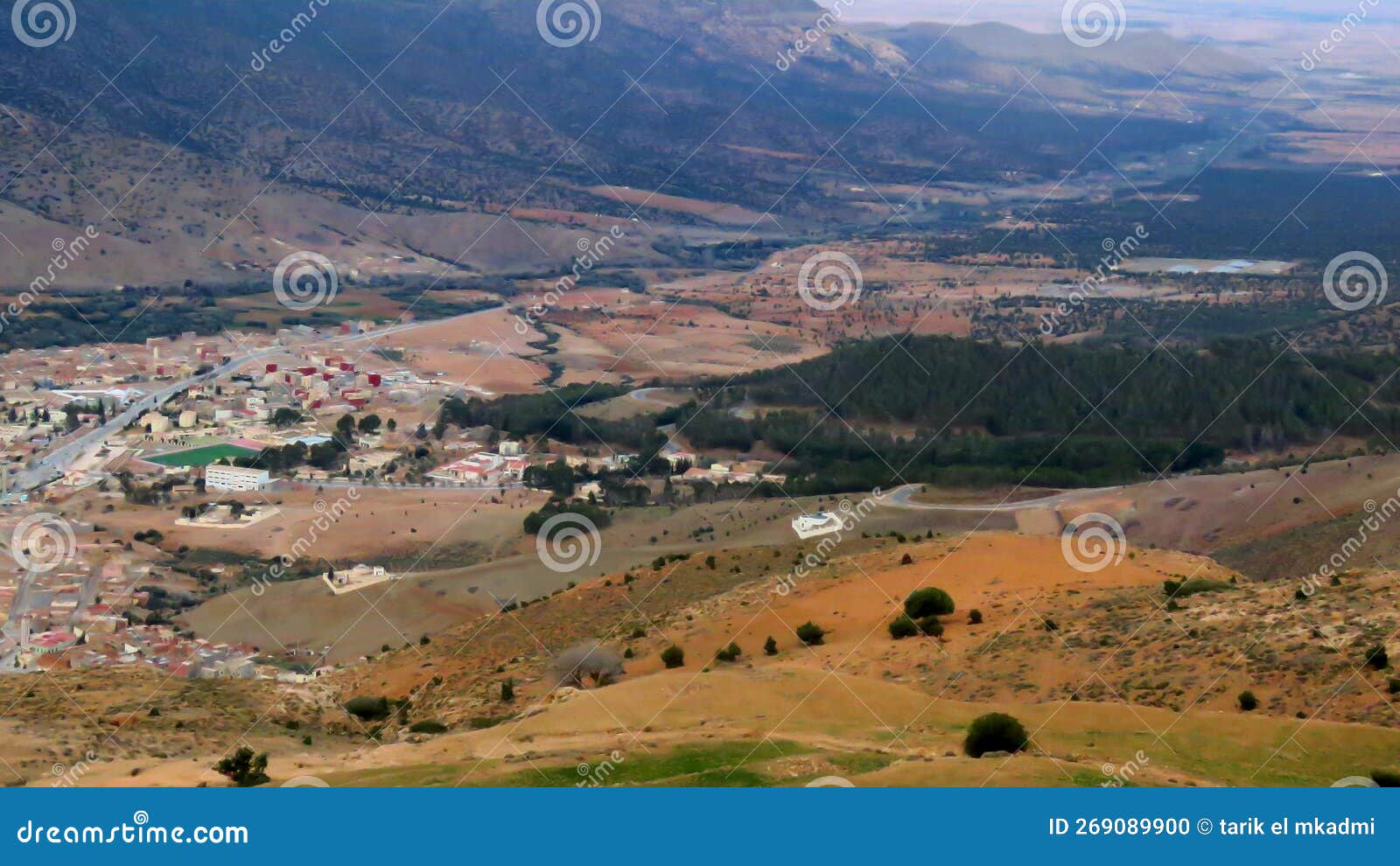 Nature maroc forest debdou stock photo. Image of debdou - 269089900