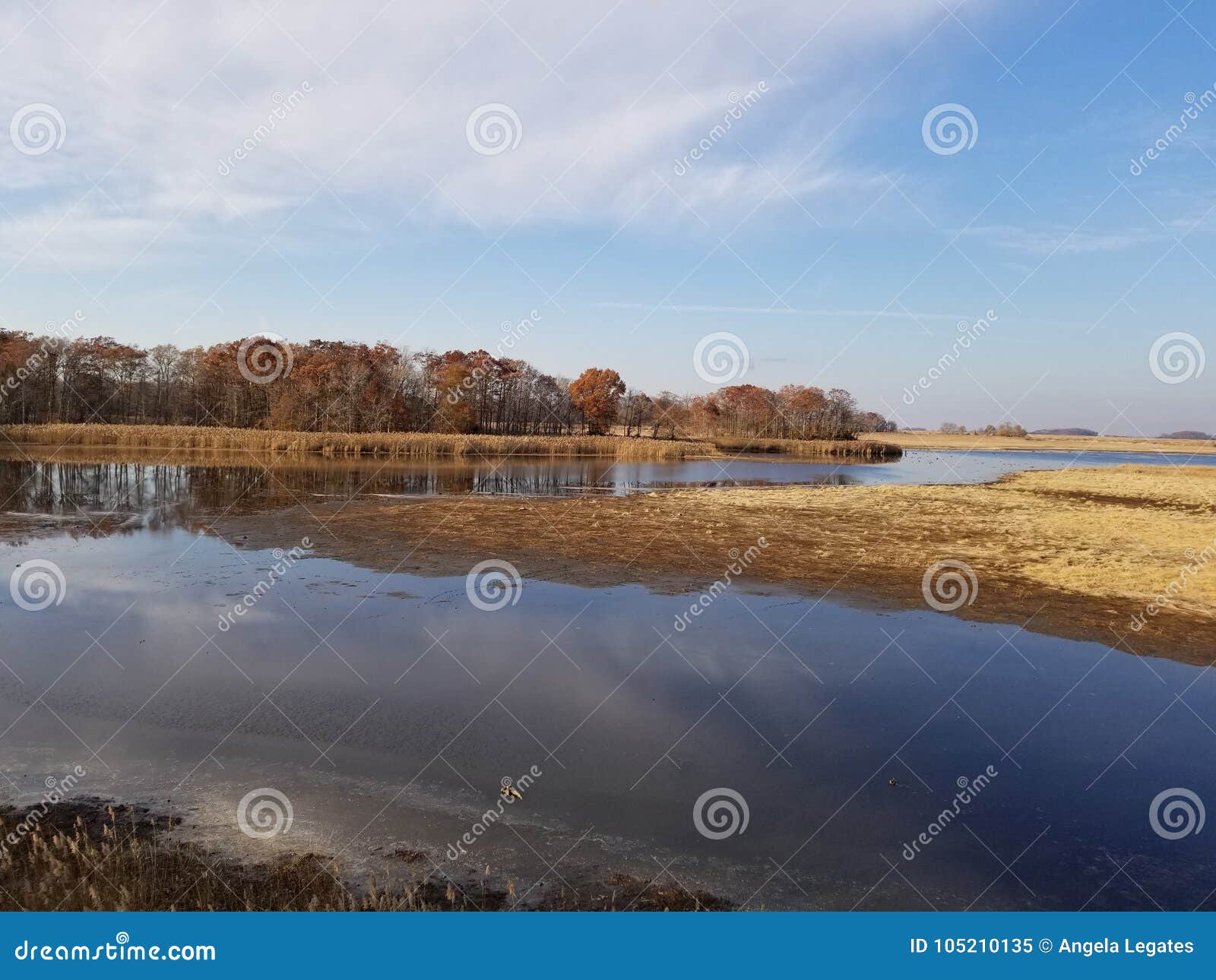 Nature stock image. Image of loch, bank, plain, nature - 105210135