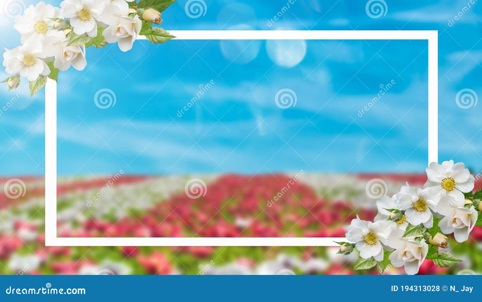 Nature memory frame stock photo. Image of color, petal - 194313028