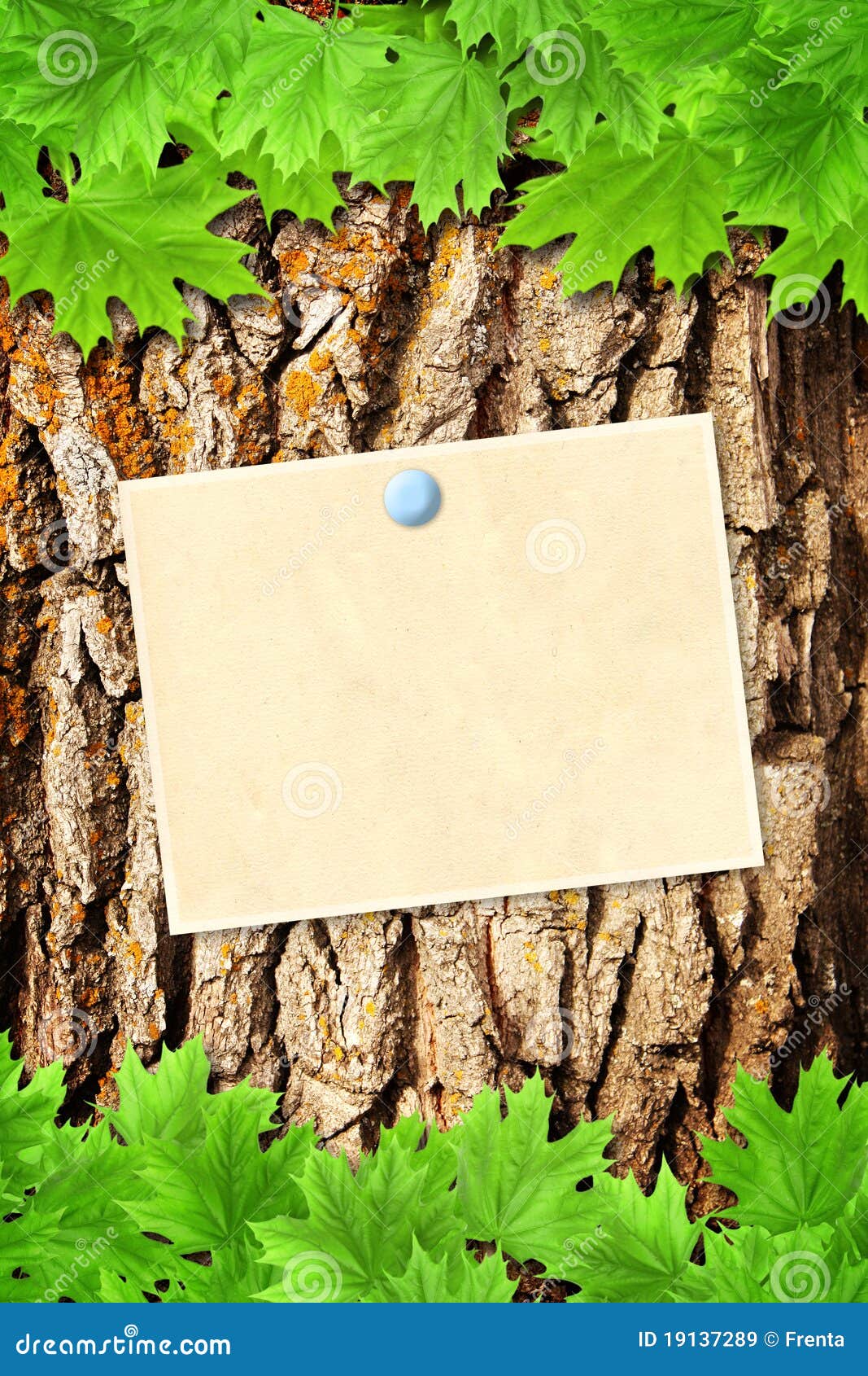 Nature message stock image. Image of maple, hardwood - 19137289