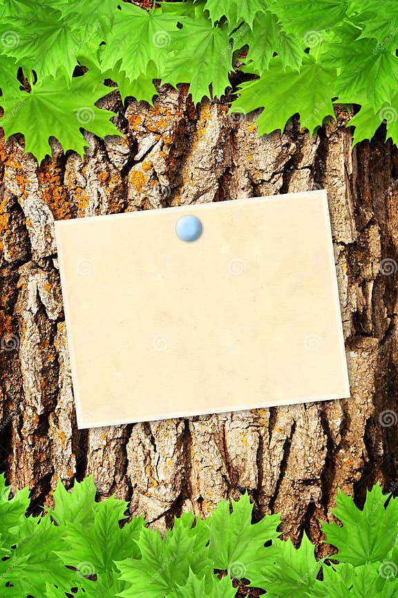 Nature message stock image. Image of maple, hardwood - 19137289