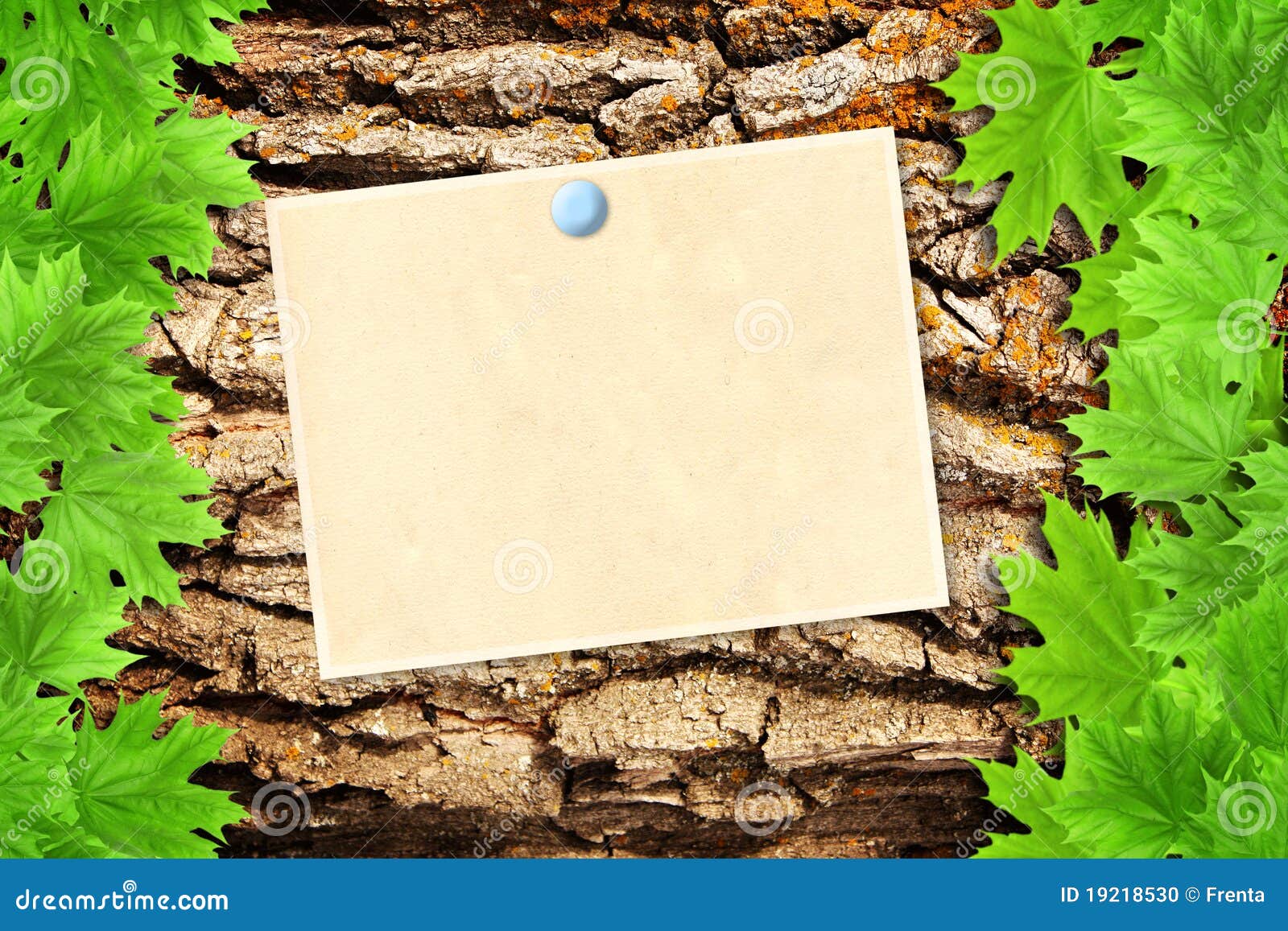 Nature message stock photo. Image of background, plant - 19218530
