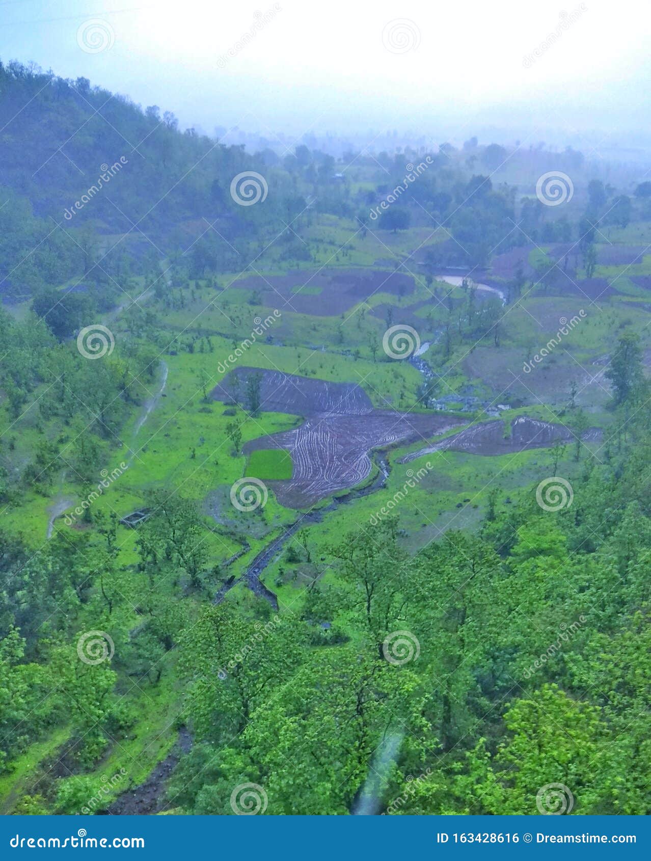 Nature stock photo. Image of topview, monsoon, trees - 163428616