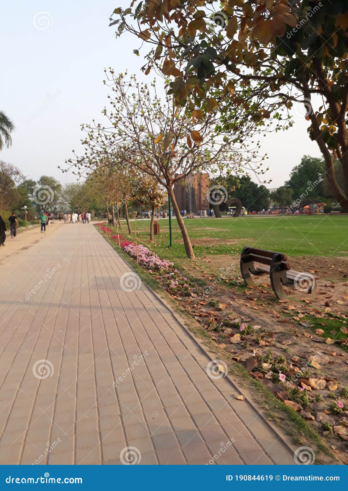 Nature Most Beautiful View with Park and Trees Stock Image - Image of ...