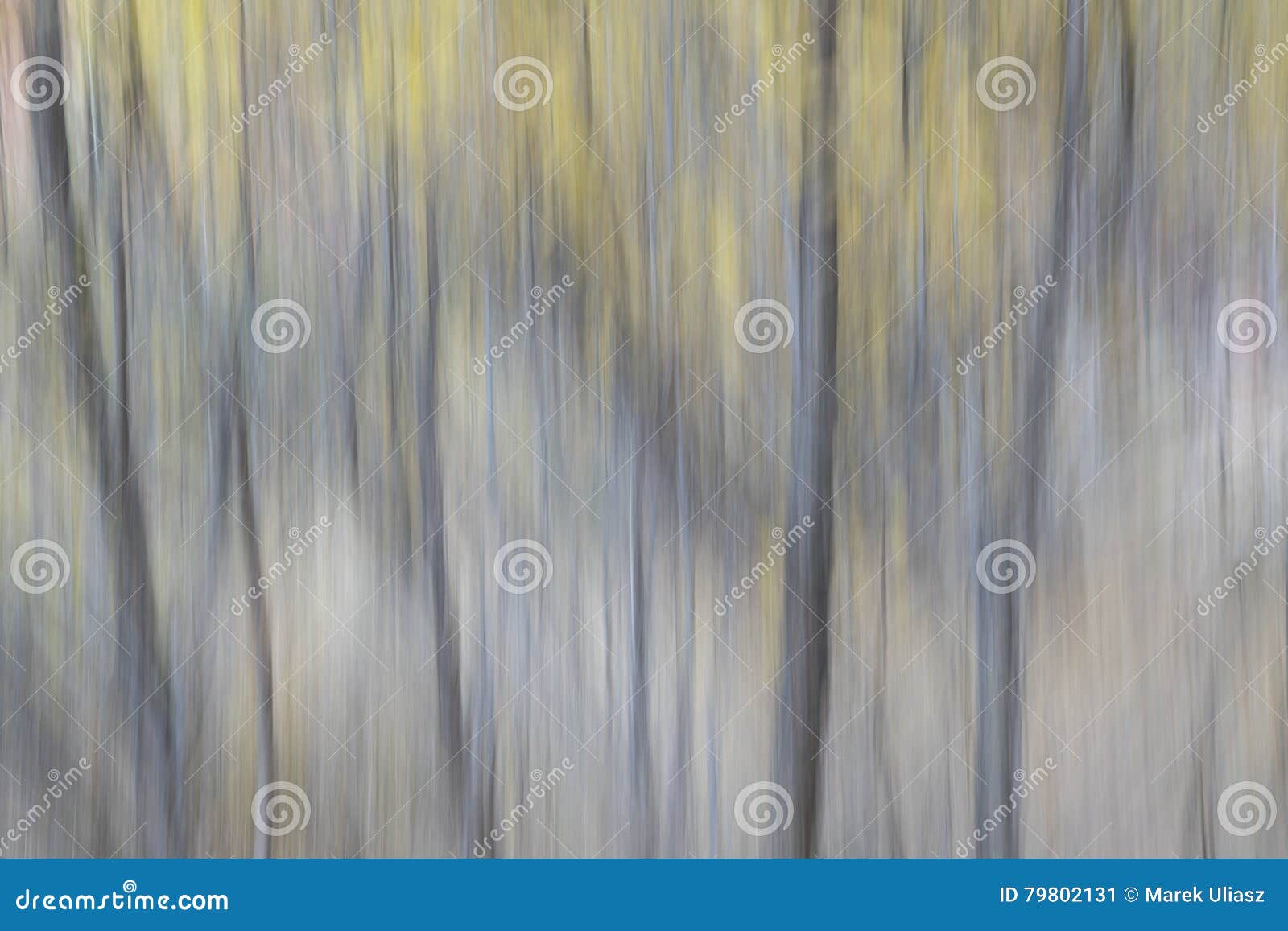 Nature Motion Blur Abstract Background Stock Image - Image of motion ...