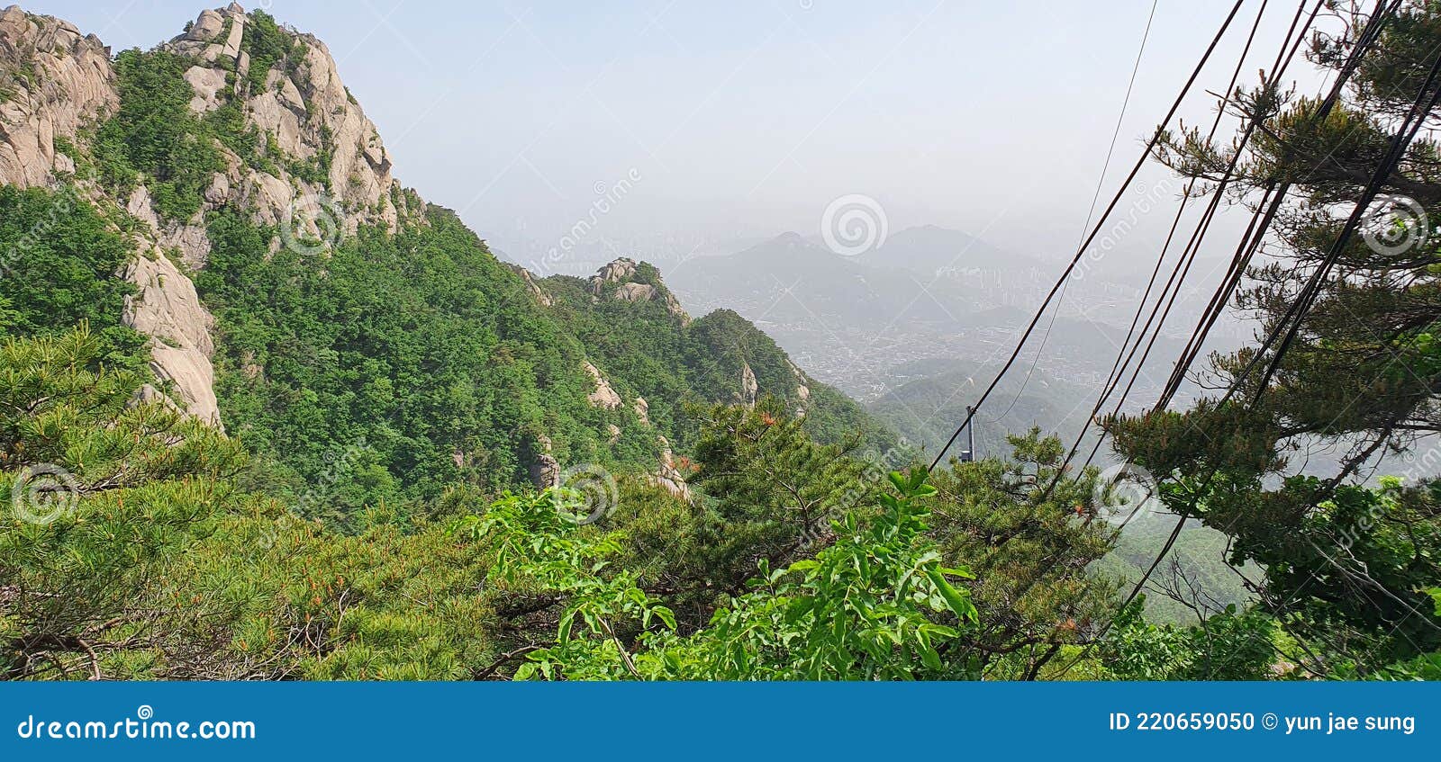 Nature, Mountain, Height, Tree, Fog Stock Photo - Image of nature ...