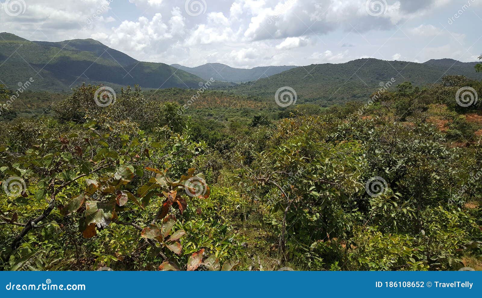 Nature mountain landscape stock photo. Image of trees - 186108652
