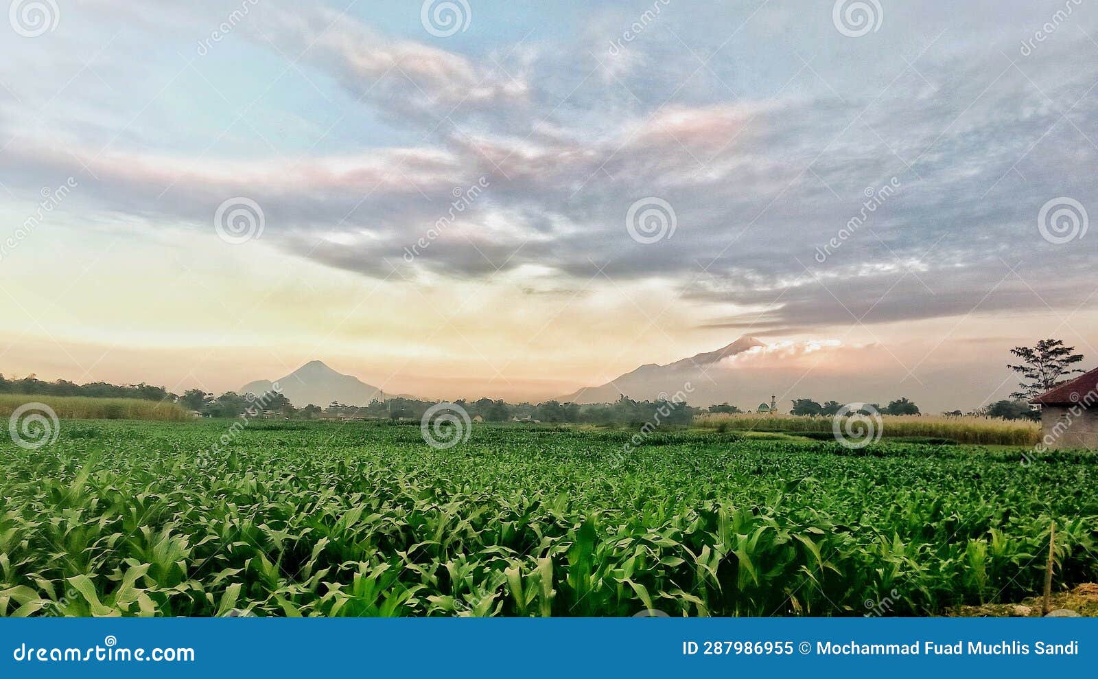 Nature Mountine Village with Sunsite View Editorial Image - Image of ...