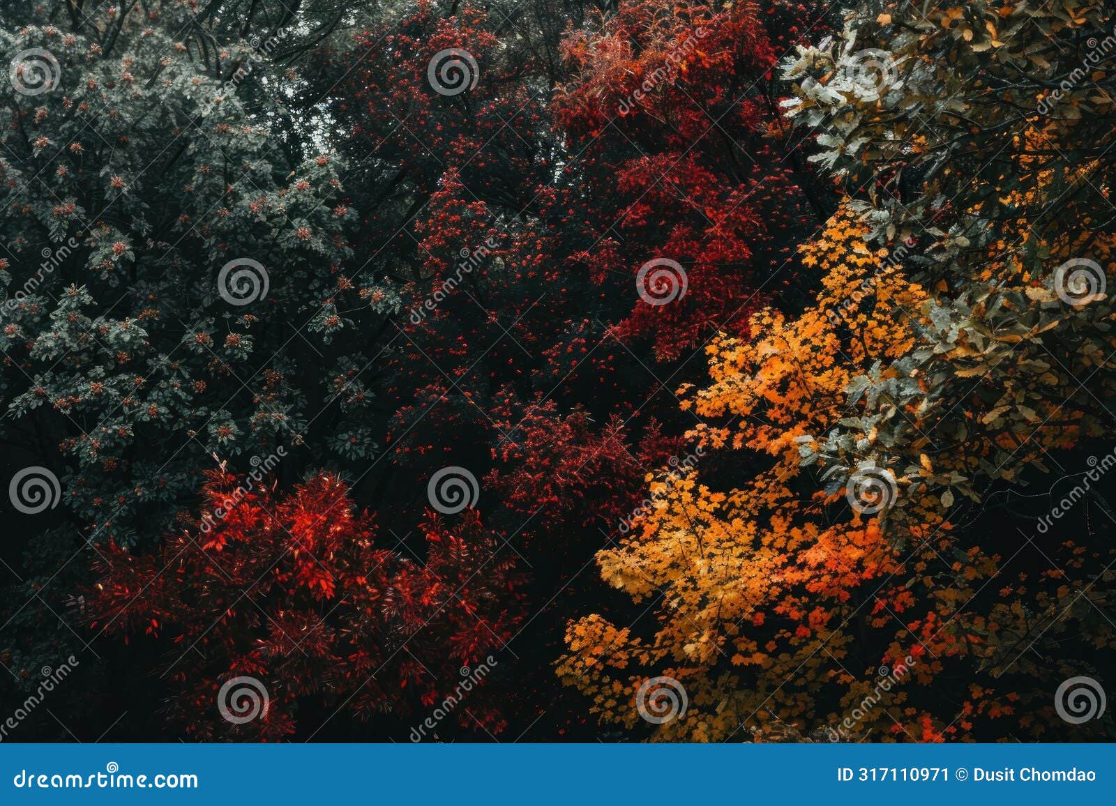 The Nature of Muted Colors Tone Stock Image - Image of background ...
