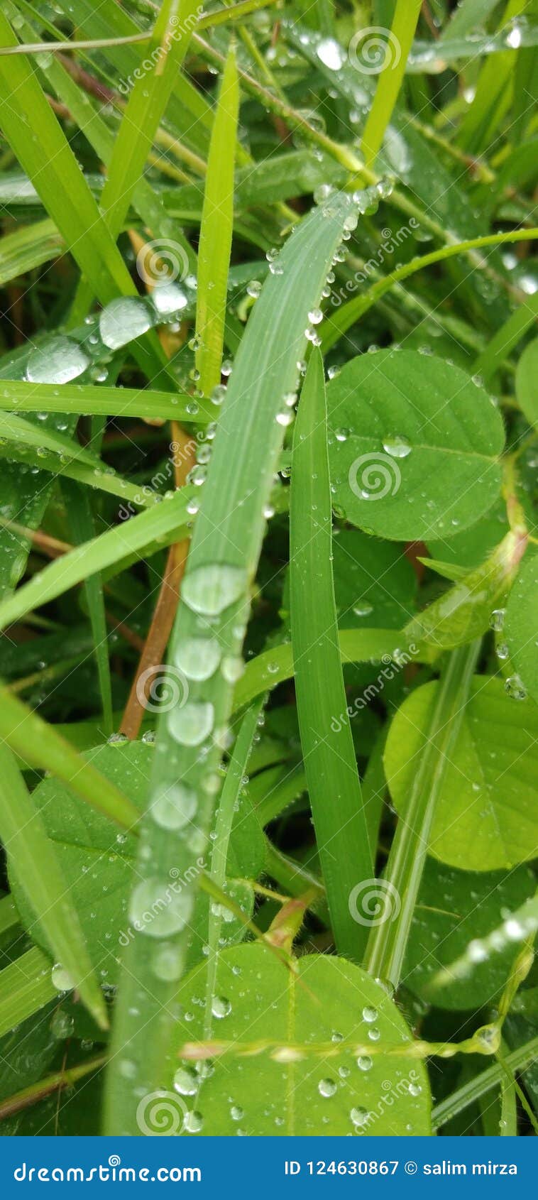 Nature stock image. Image of rever, click, mountain - 124630867