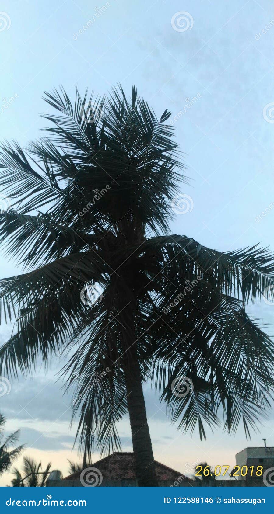 Nature stock photo. Image of nature, natural, noon, time - 122588146