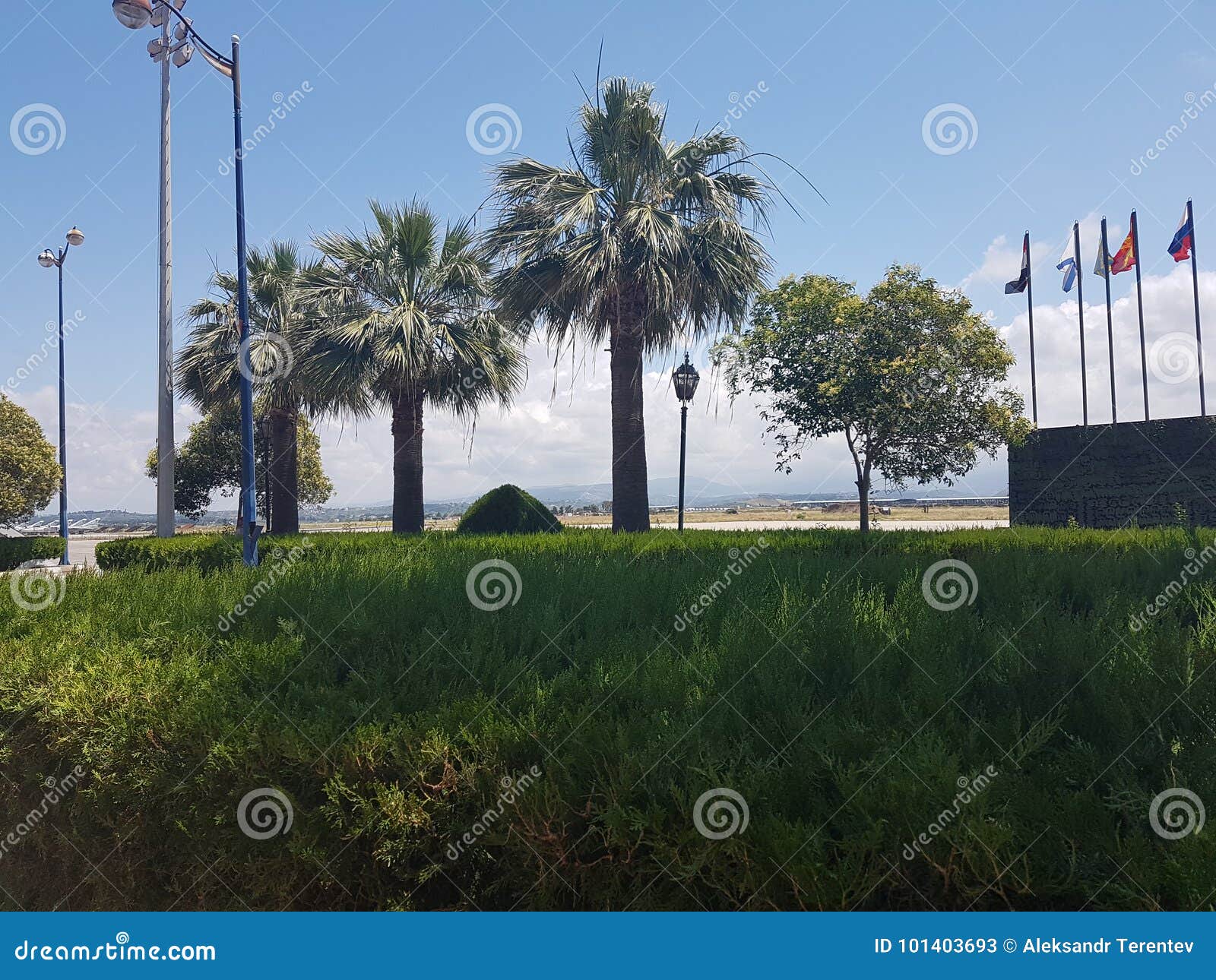 Nature stock image. Image of beauty, nature, syria, flags - 101403693