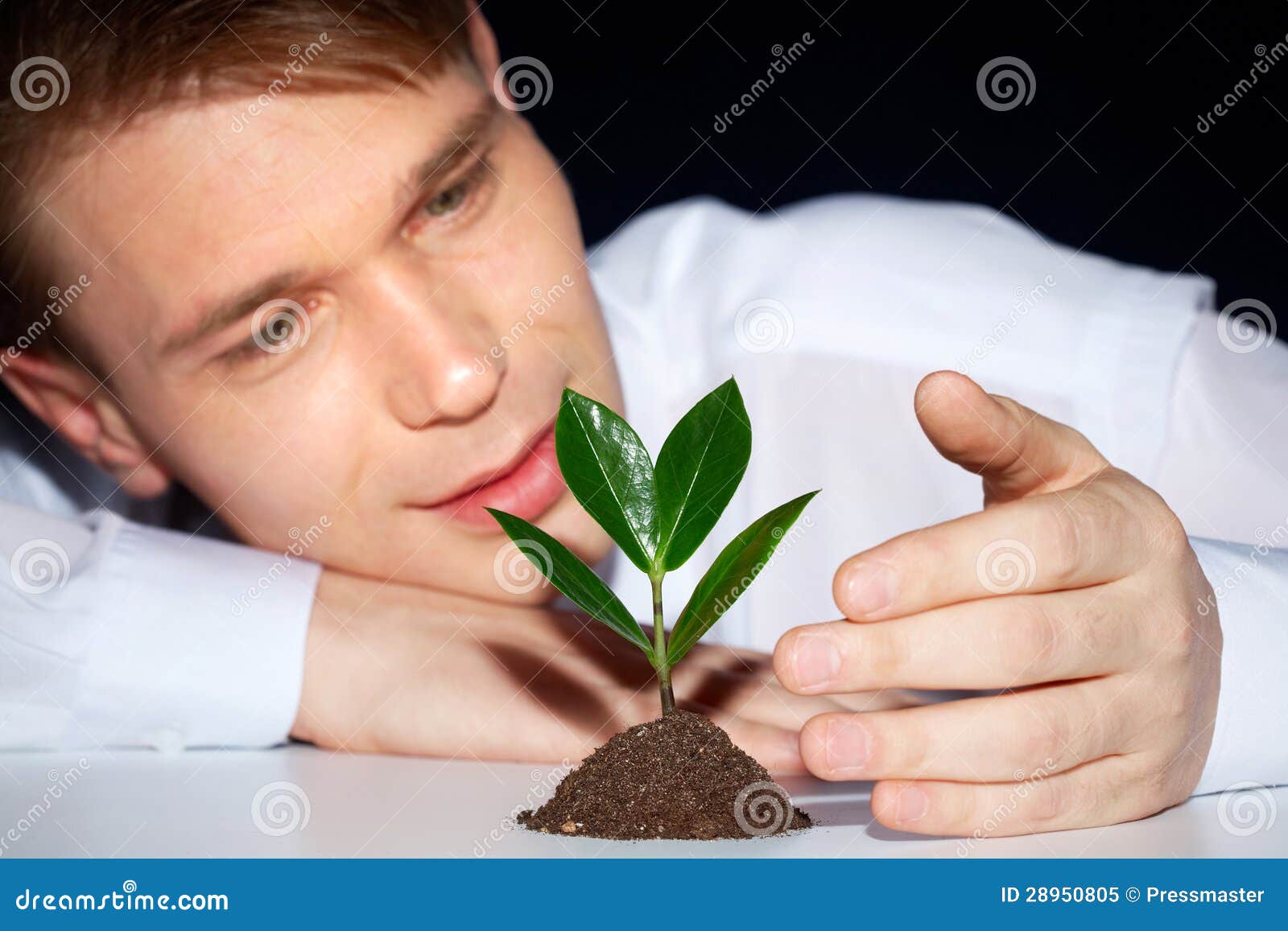 Nature needs you stock image. Image of foliage, botanical - 28950805