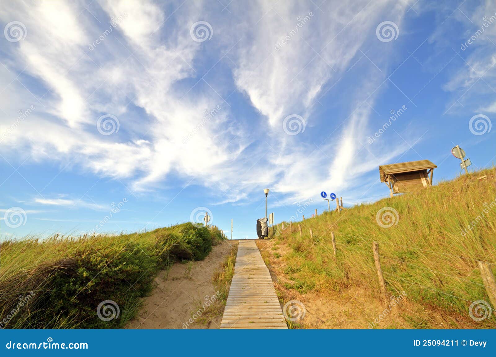 Nature in the Netherlands stock image. Image of nature - 25094211