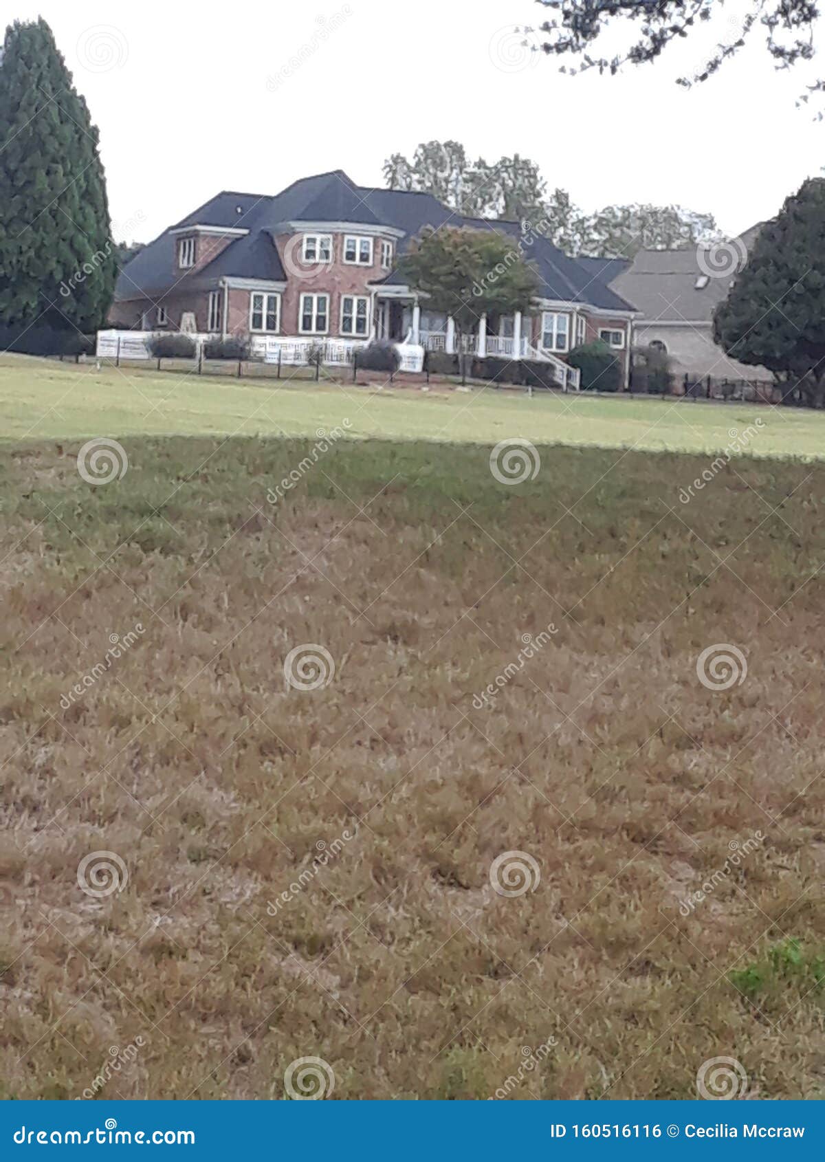 Nature and nice homes stock photo. Image of dream, nature - 160516116