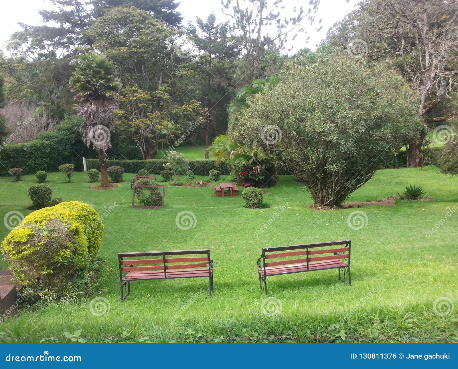 Nature stock photo. Image of senery, relaxation, nice - 130811376