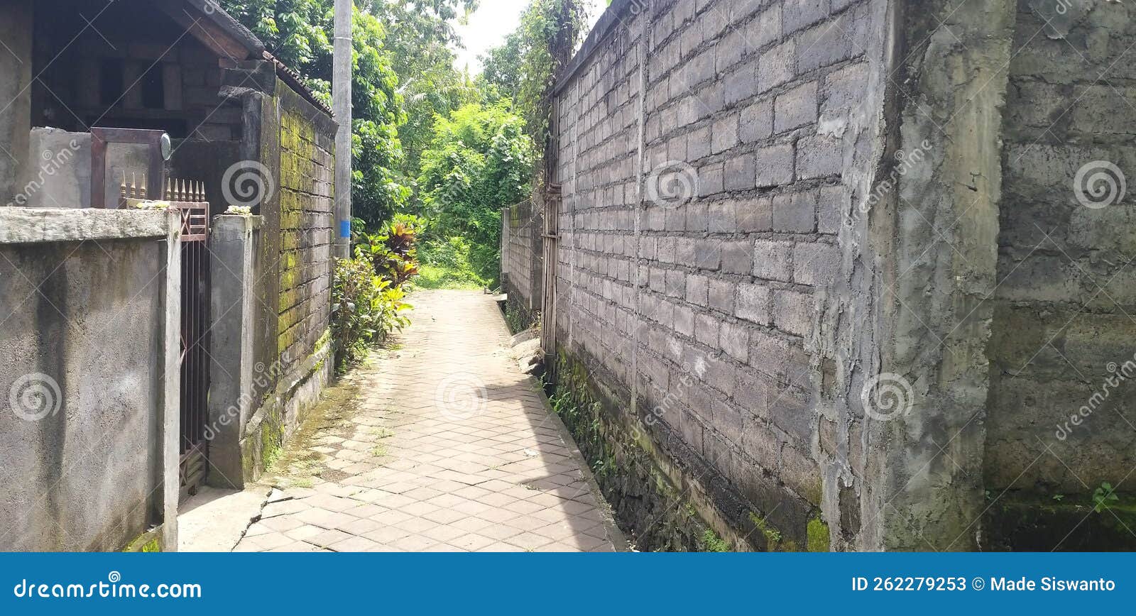 Nature night view in bali stock image. Image of soil - 262279253