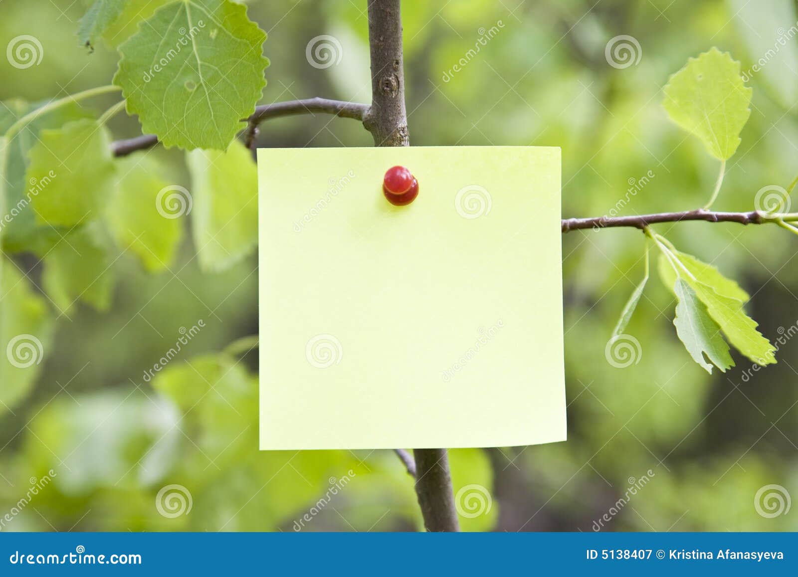 Nature Note stock image. Image of front, note, natural - 5138407