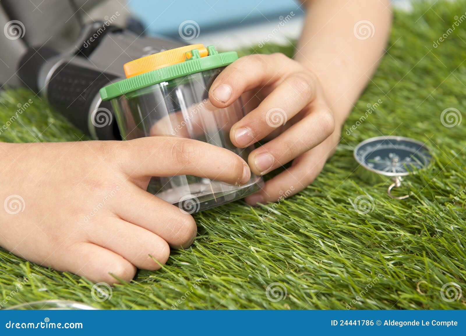 Nature observation stock photo. Image of closeup, compass - 24441786