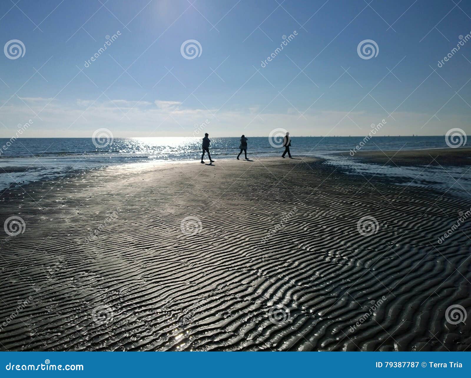 Nature stock image. Image of oceansea, water, nature - 79387787