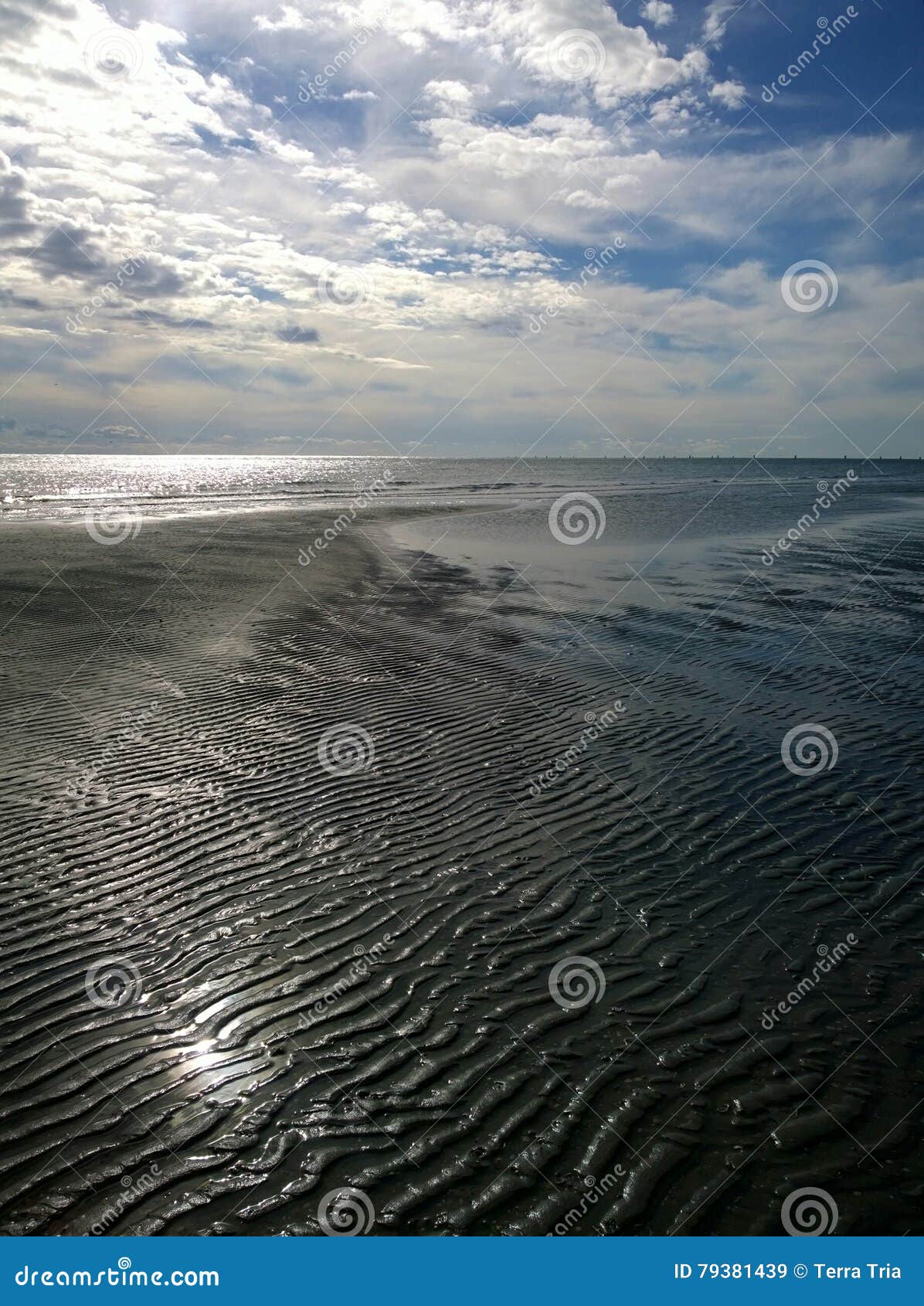 Nature stock image. Image of oceansea, blue, water, nature - 79381439