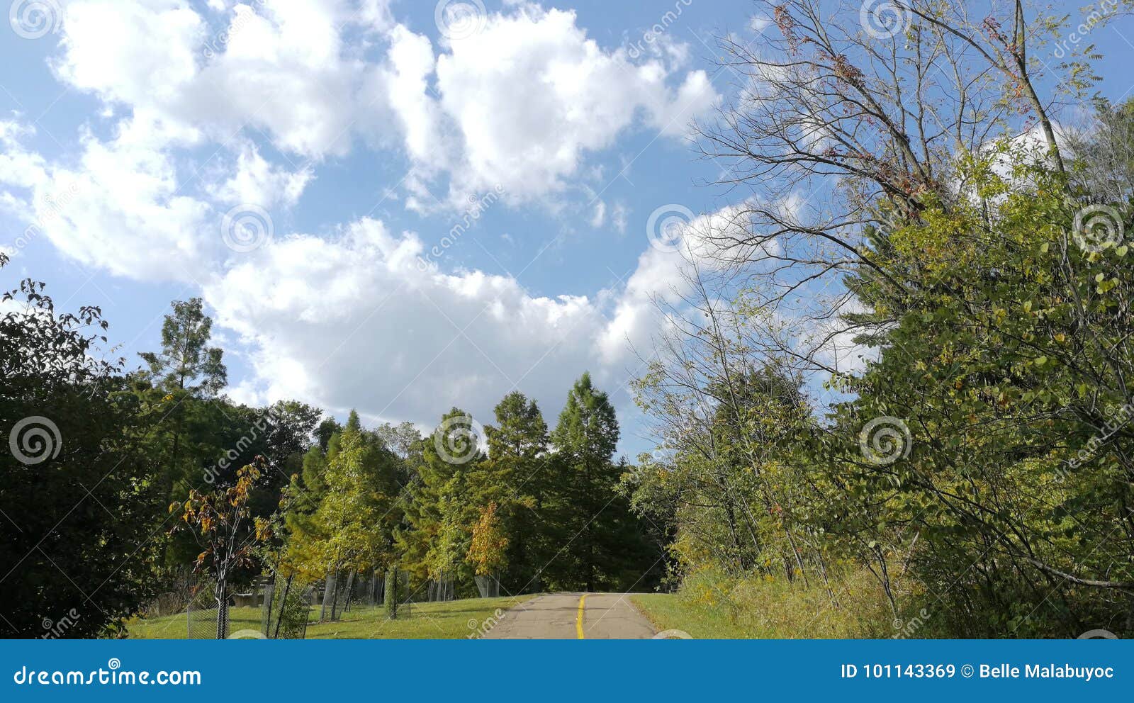 Nature in Ohio stock image. Image of tree, grassland - 101143369