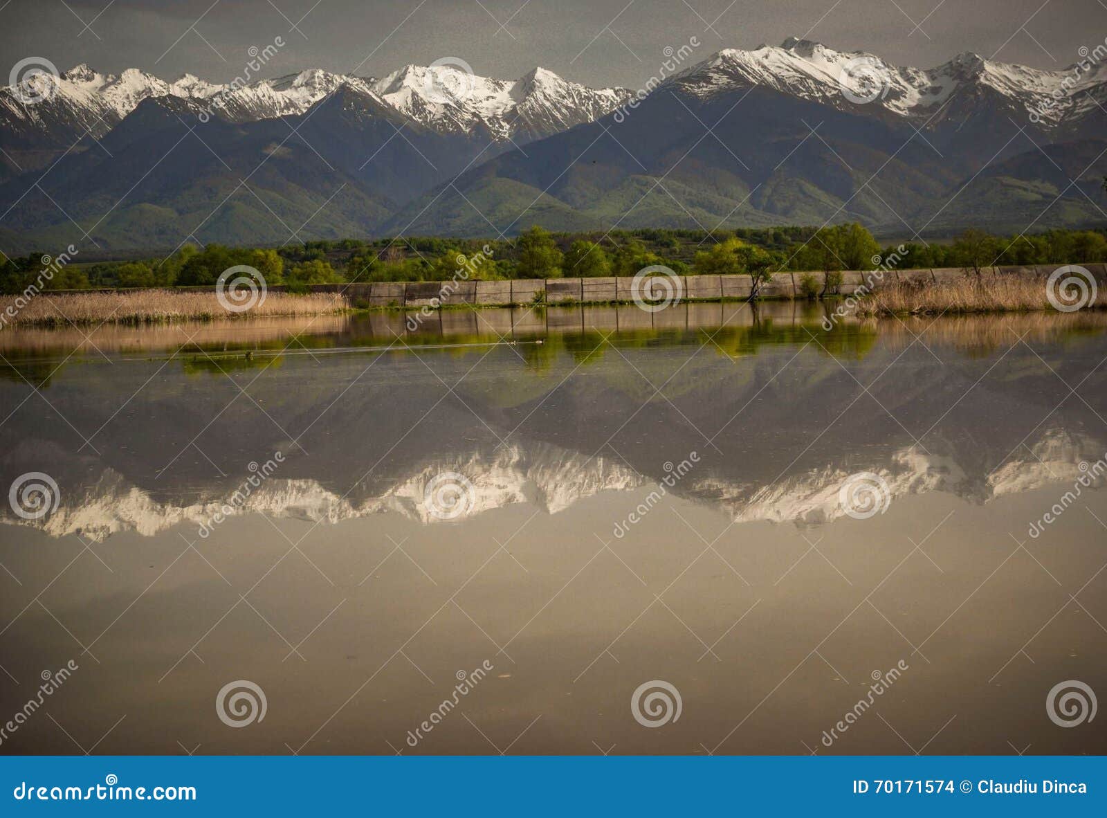 Nature stock photo. Image of sibiu, clear, river, reflexion - 70171574