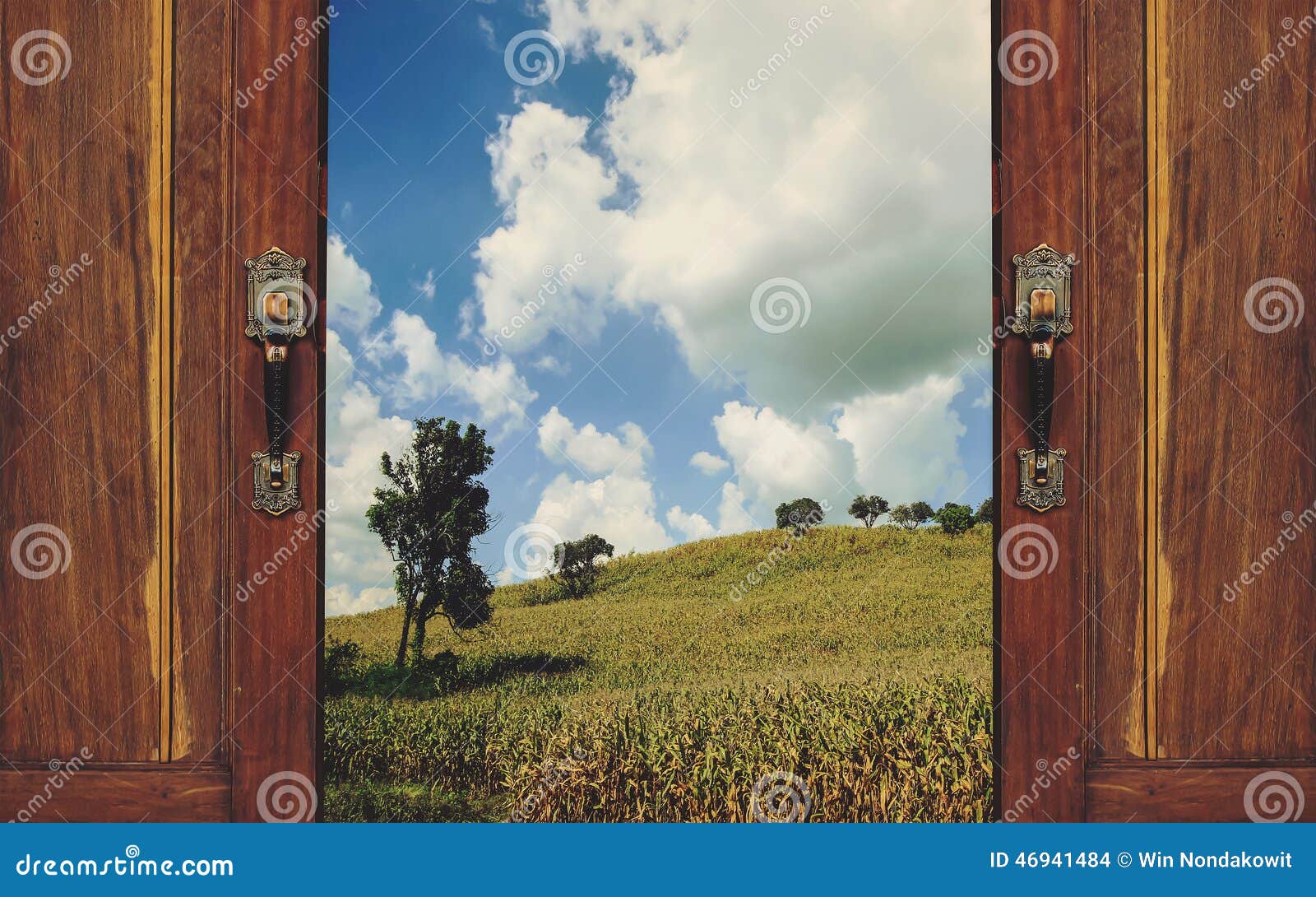 Into the nature stock photo. Image of door, nature, concept - 46941484