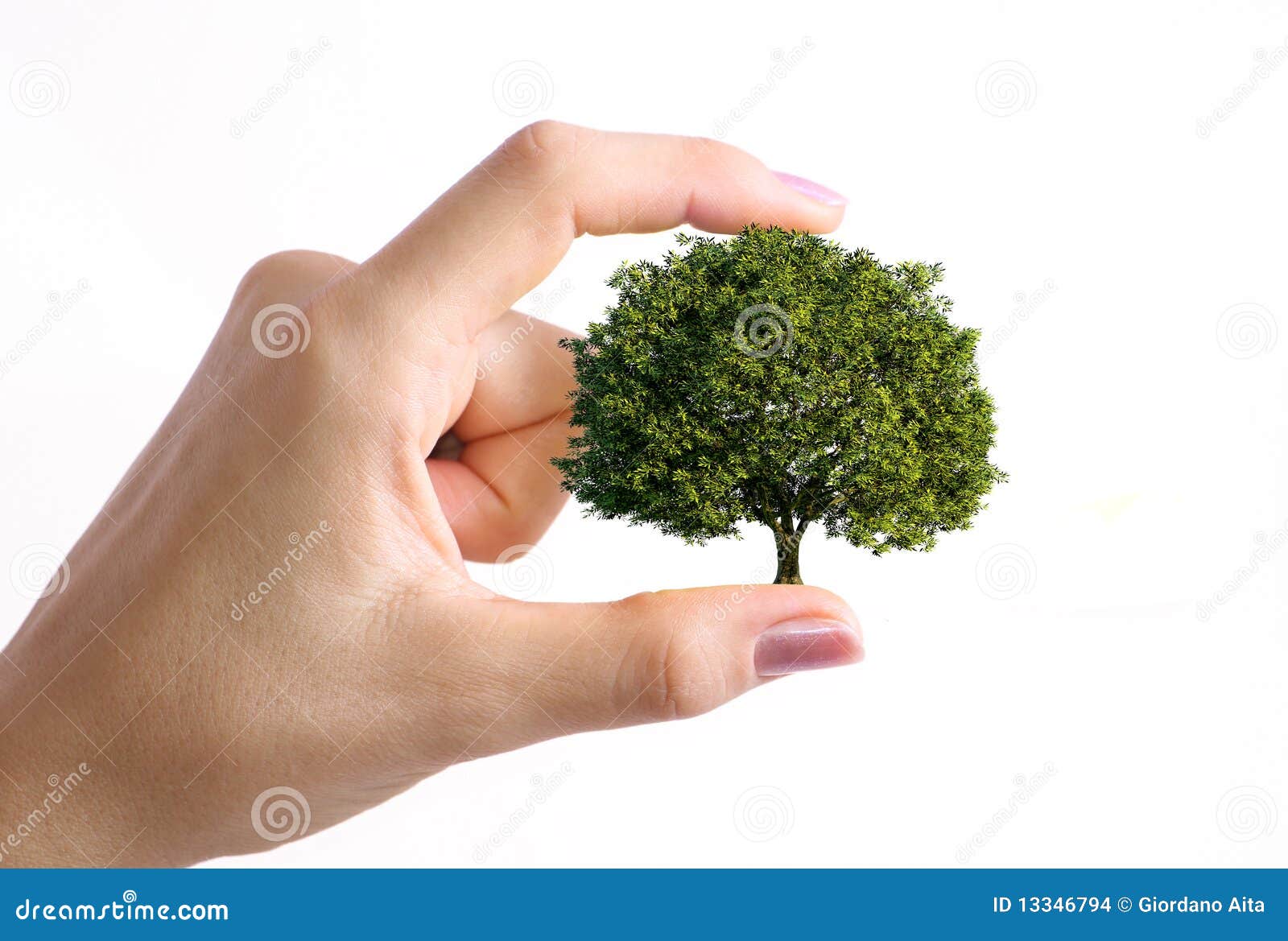 The nature in our hands stock photo. Image of safeguard - 13346794