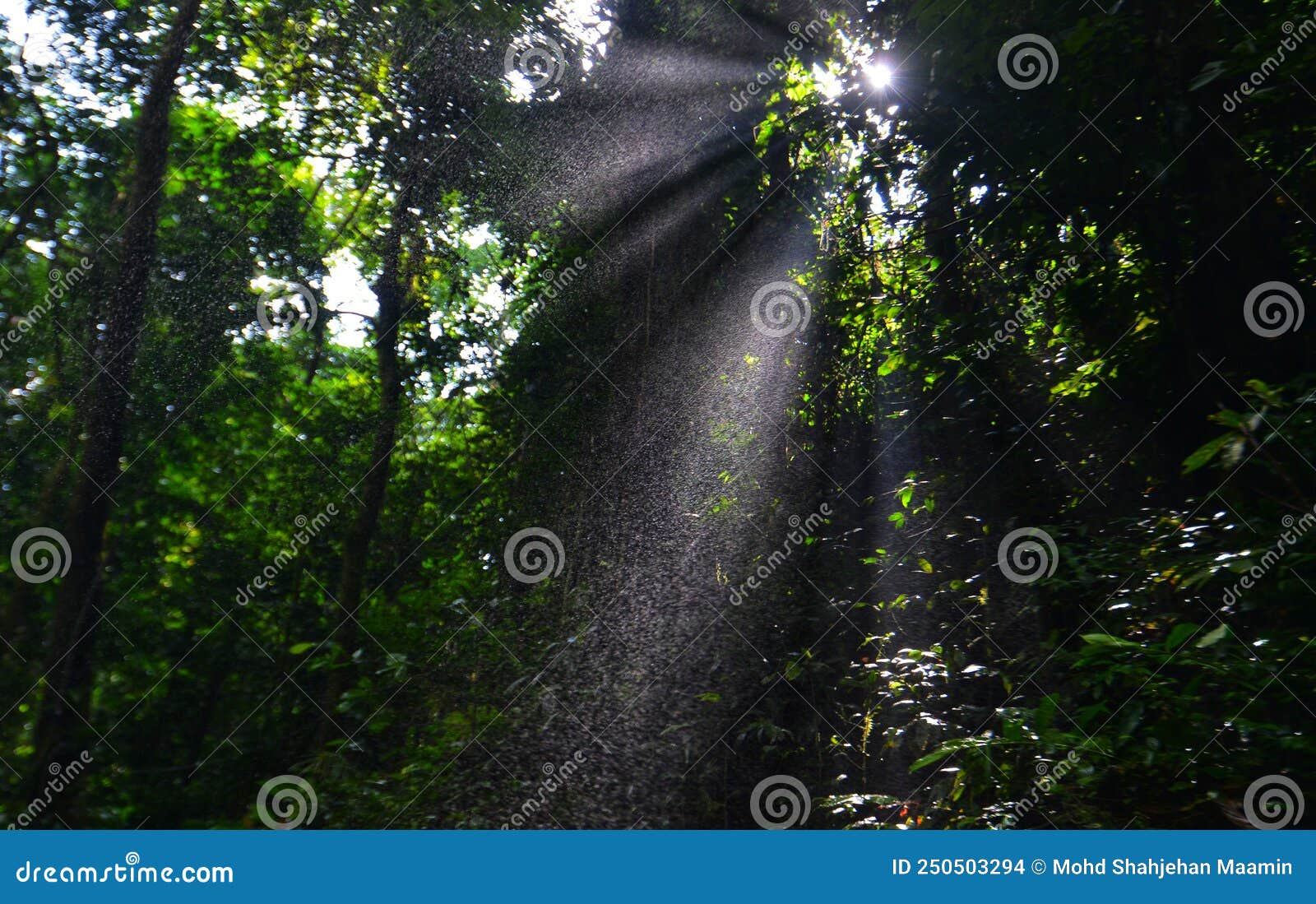 Nature and outdoor stock photo. Image of area, flow - 250503294
