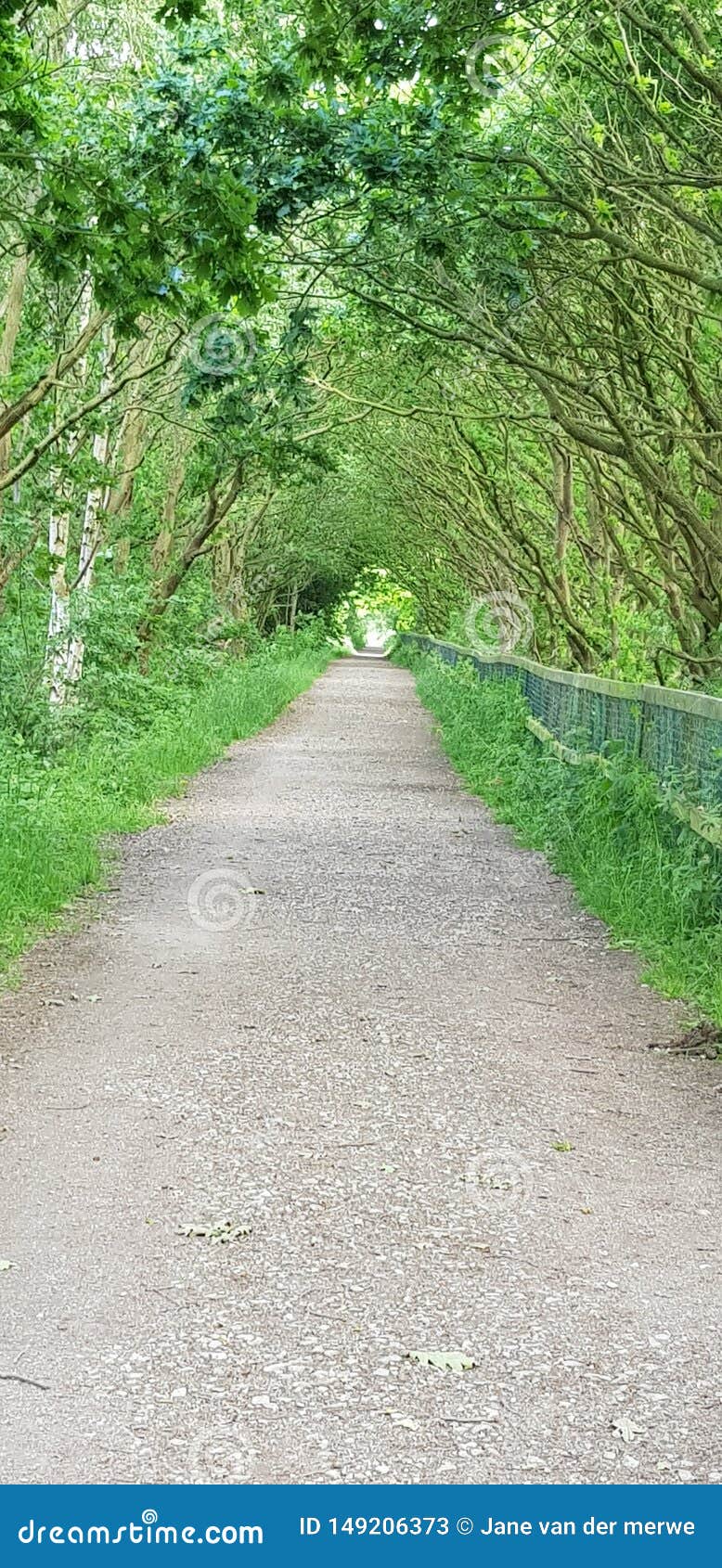 Nature Outdoors Walking Quiet Path Stock Image - Image of outdoors ...