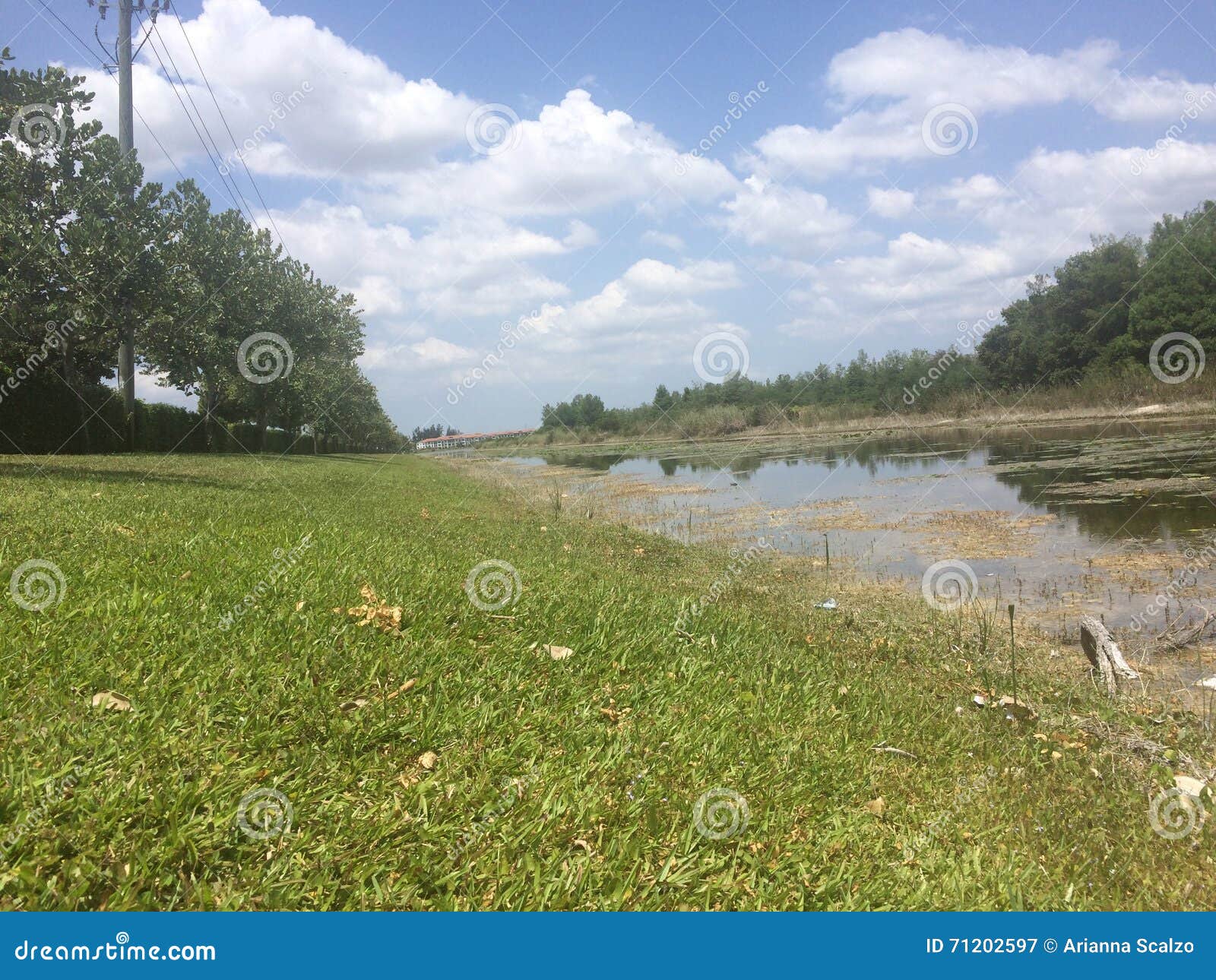 Nature stock image. Image of outside, environment, break - 71202597