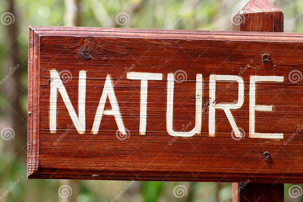 Nature panel stock image. Image of nature, close, wooden - 9800103