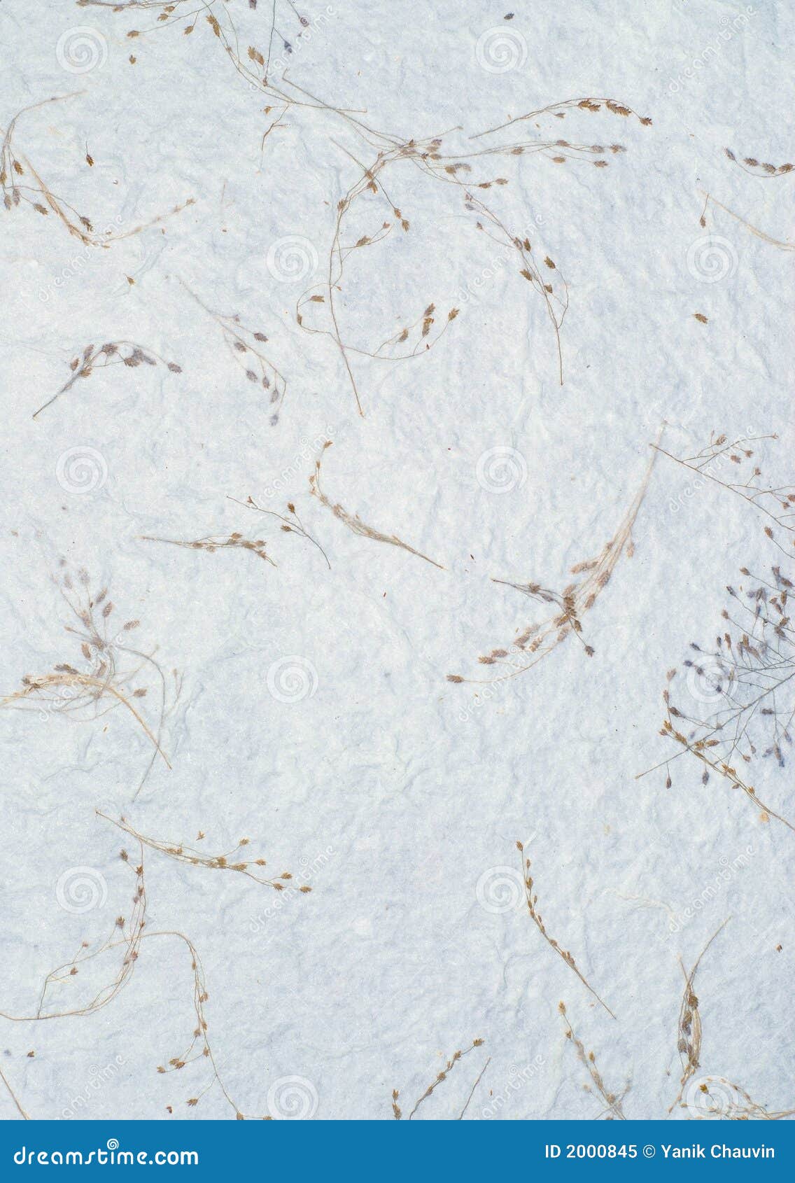 Nature Paper stock image. Image of twigs, texture, branches - 2000845