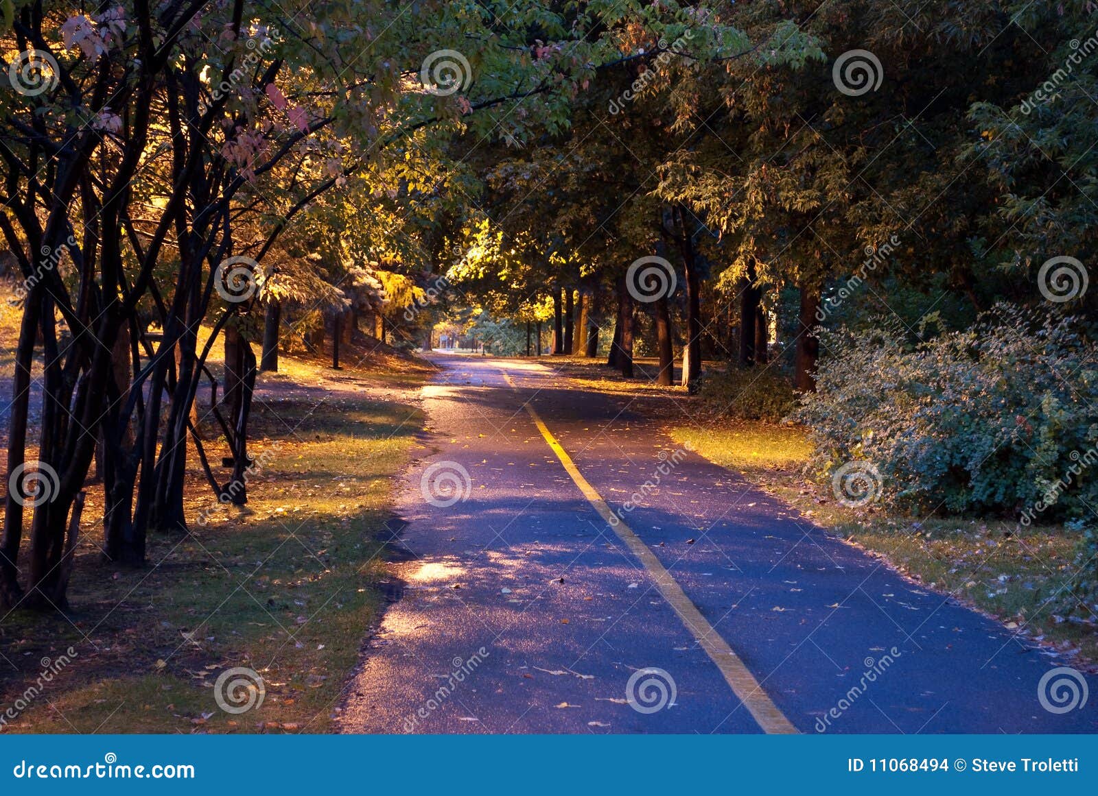Nature Park Bike Trail at Night Stock Photo - Image of asphalt, canada ...