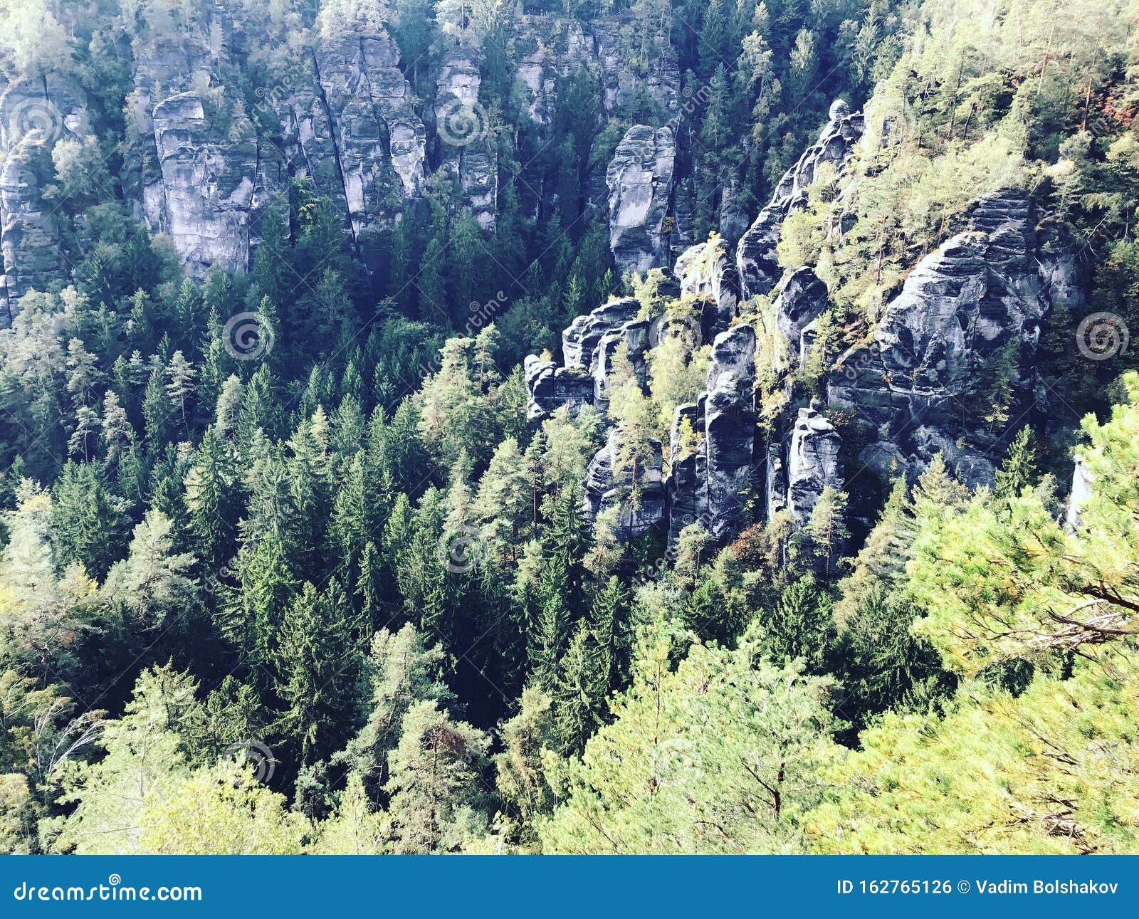 Wild Germany stock photo. Image of germany, wild, saxonia - 162765126