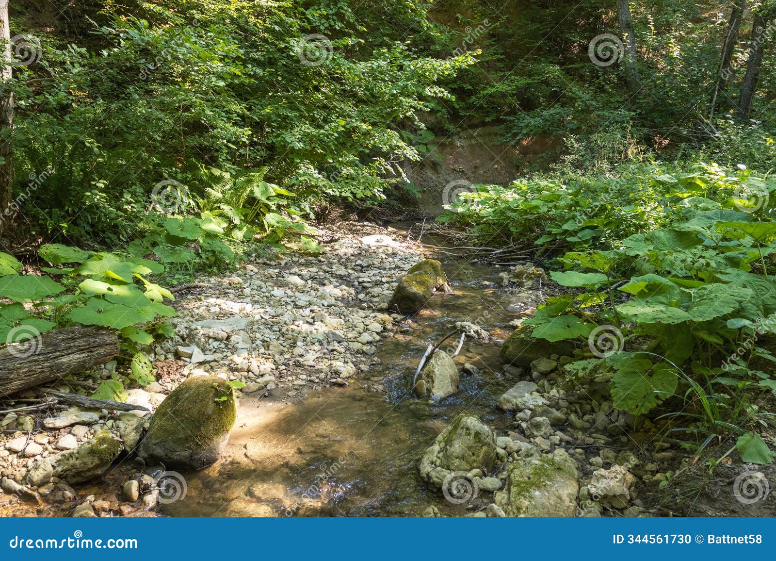 Nature Park , Spring Mood, a Walk Along the Riverbed with an Overview ...