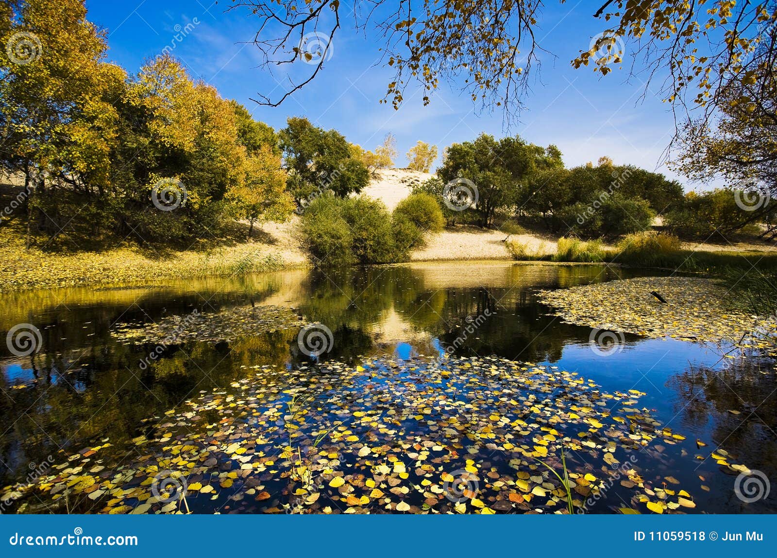 Nature Park Water Landscape Stock Photo - Image of copy, park: 11059518