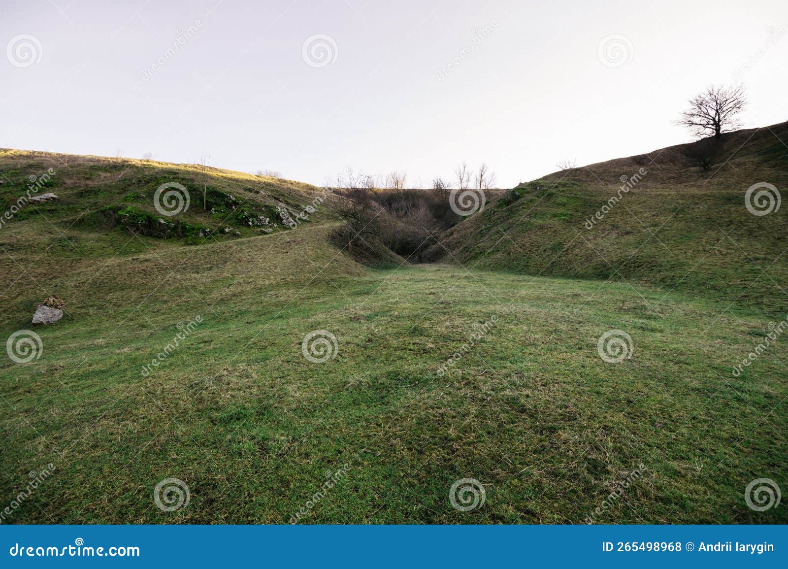 Nature Pasture in Cold Weather, Landscape Stock Photo - Image of ...